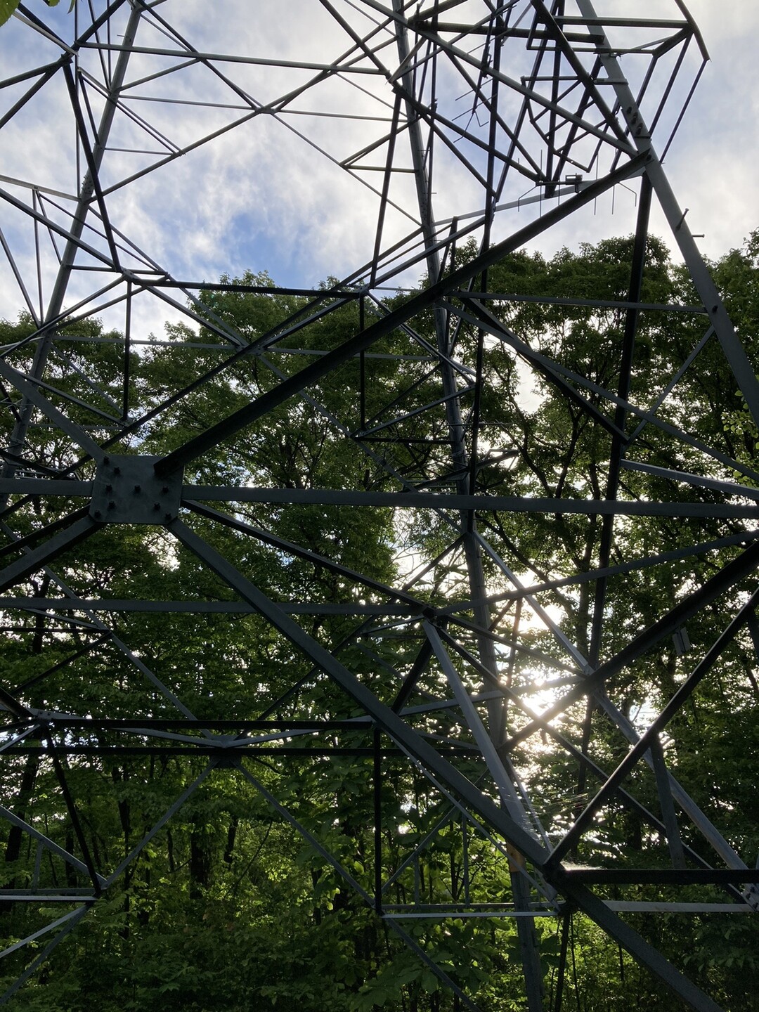 220614感謝してまーす^_^ / yellowさんのモーメント | YAMAP / ヤマップ