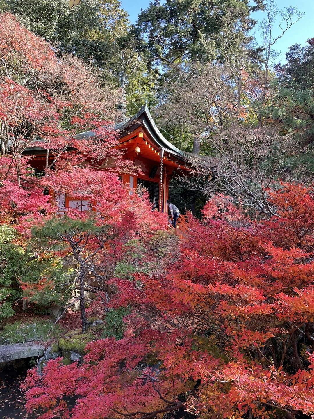 毘沙門堂 永観堂 東福寺 / hamiさんの京都一周トレイルの活動データ | YAMAP / ヤマップ
