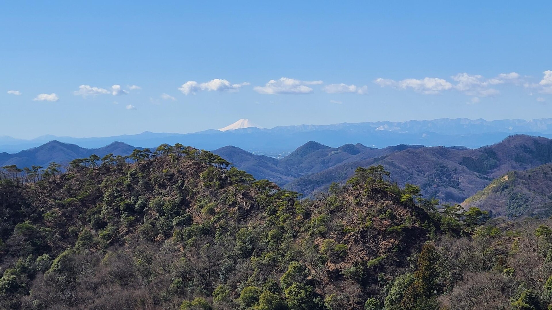佐野市 低山 14座 / sadaさんの三床山・金原山の活動データ | YAMAP / ヤマップ