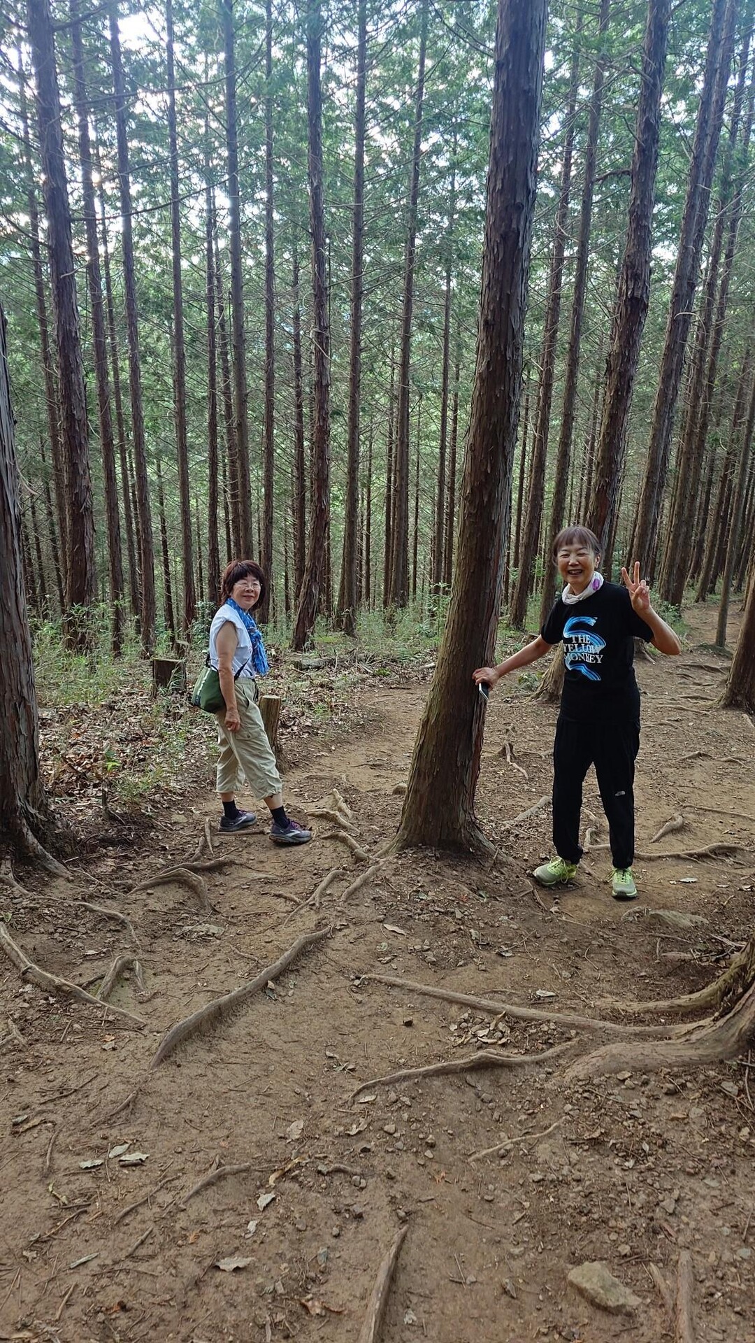 稜線だけは気持ち良く Wt+5kg 30分登頂 / ta2さんの鳴神山・吾妻山の活動データ | YAMAP / ヤマップ