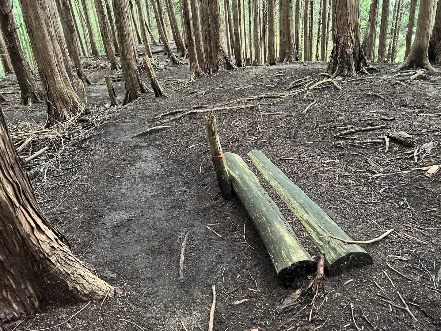 masuyoshiさんの投稿したフィールドメモ | YAMAP / ヤマップ