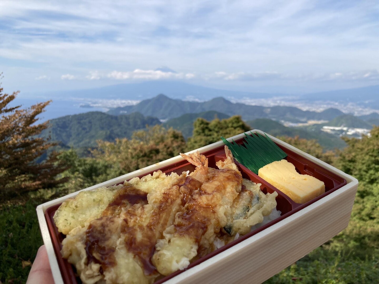 葛城山登山 / first_outdoorさんの金冠山・達磨山・葛城山の活動データ | YAMAP / ヤマップ