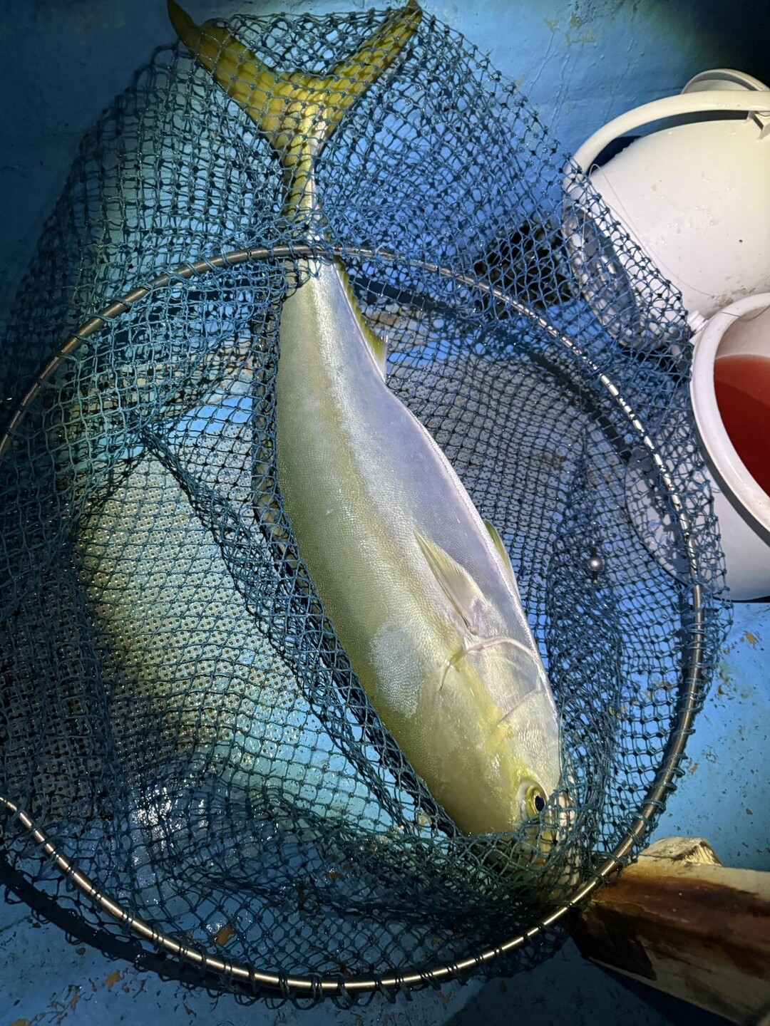 和歌山県串本町へ ブリ釣り キャンプ... / masayanさんのモーメント | YAMAP / ヤマップ