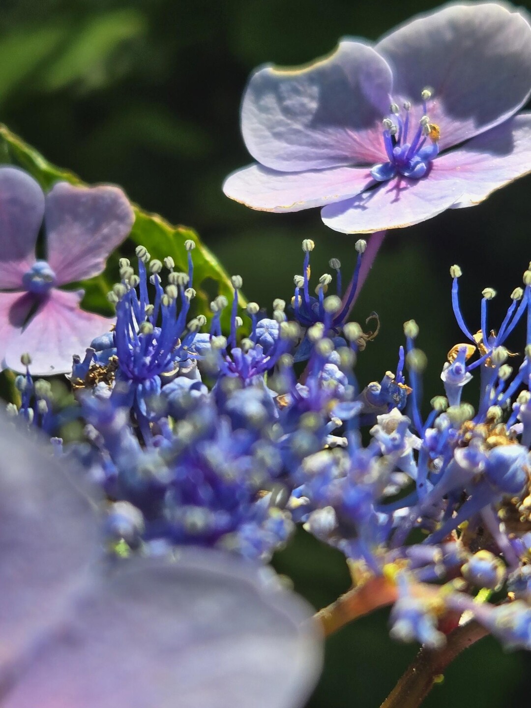 続きは二上山（雌岳） / baseさんの金剛山・二上山・大和葛城山の活動データ | YAMAP / ヤマップ