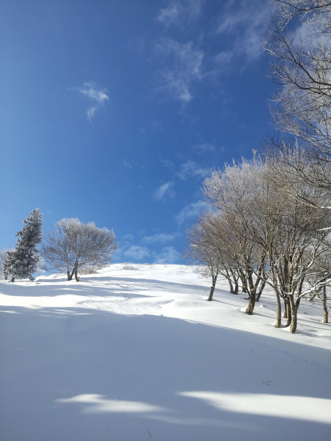 ザラノにリ・リトライ👍️ / Mt.OKA🎃さんの高室山の活動データ | YAMAP / ヤマップ