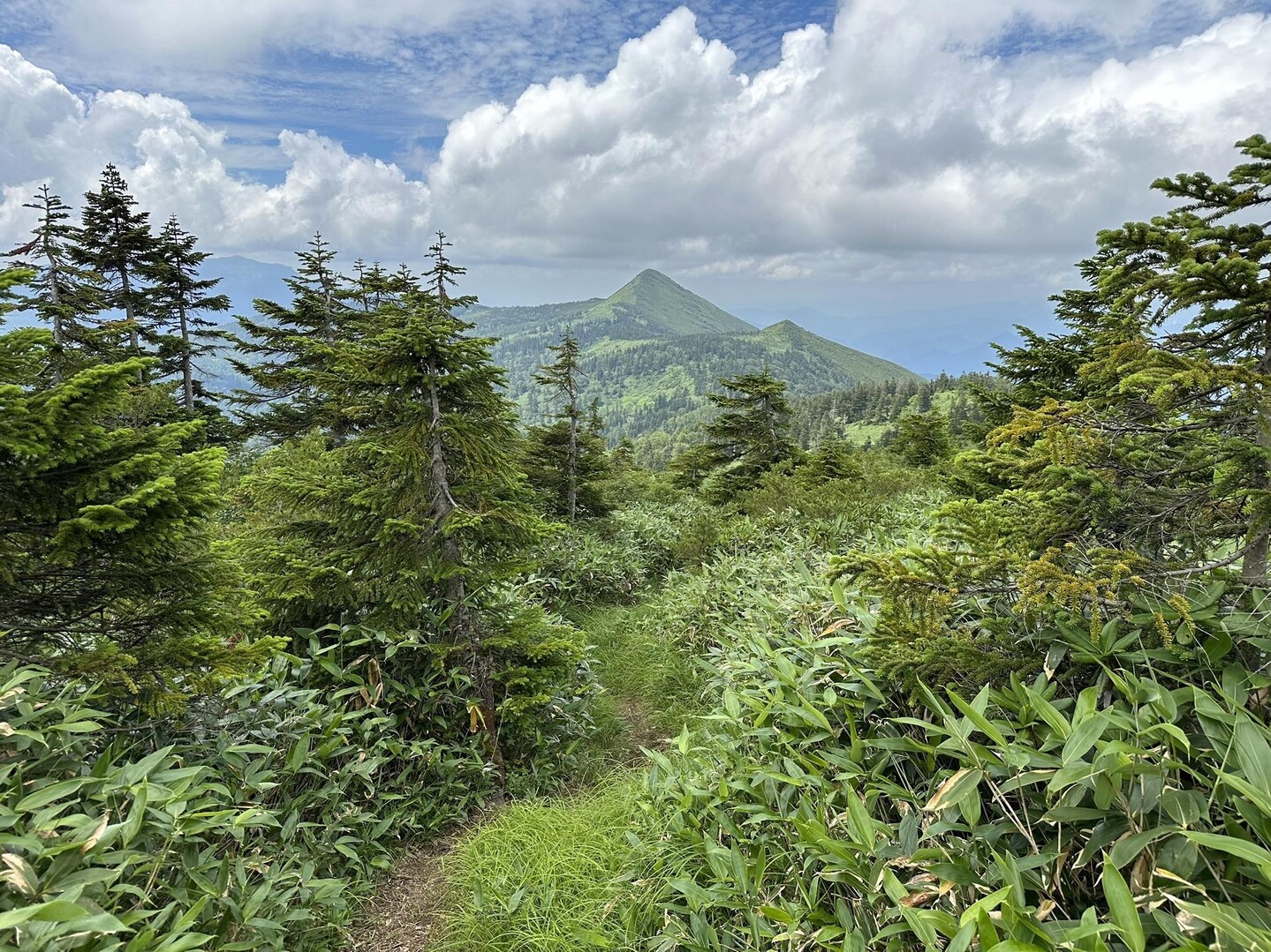 悠汰さんの投稿したフィールドメモ | YAMAP / ヤマップ