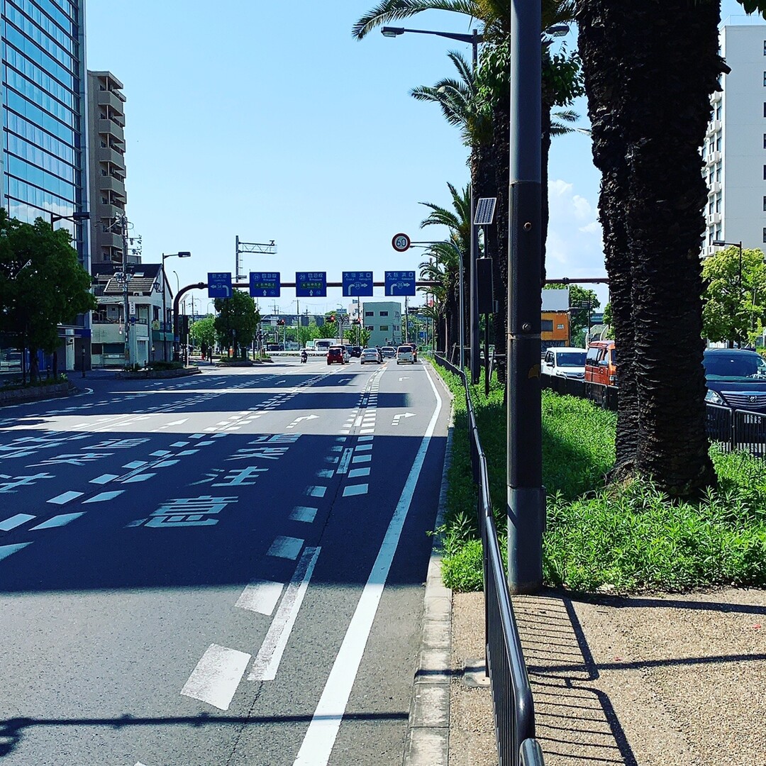 蘇鉄山 / mizoさんの蘇鉄山の活動データ | YAMAP / ヤマップ