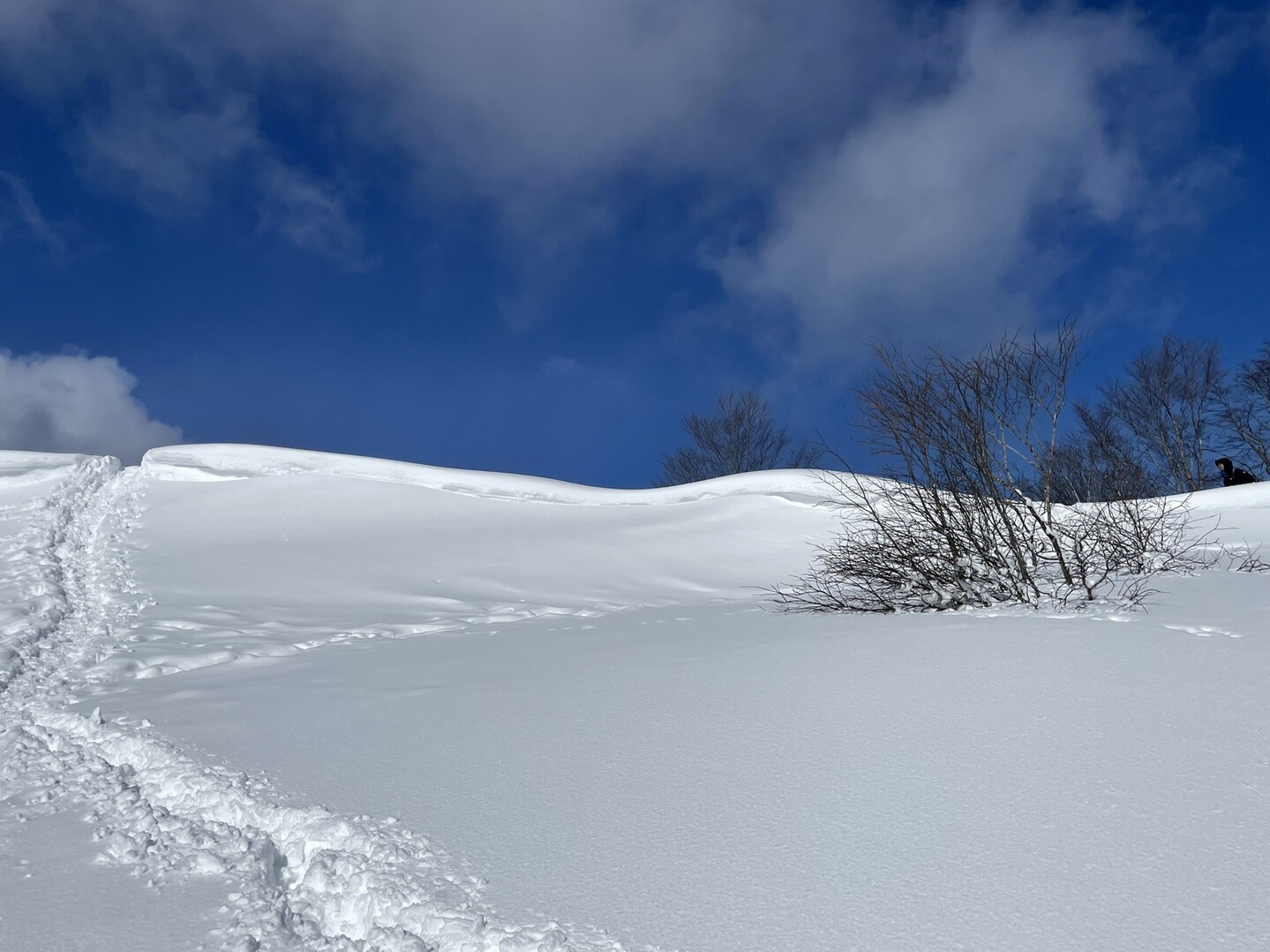 西東根山チャレンジ ️ / hirosyさんの南昌山・東根山・箱ヶ森の活動データ | YAMAP / ヤマップ