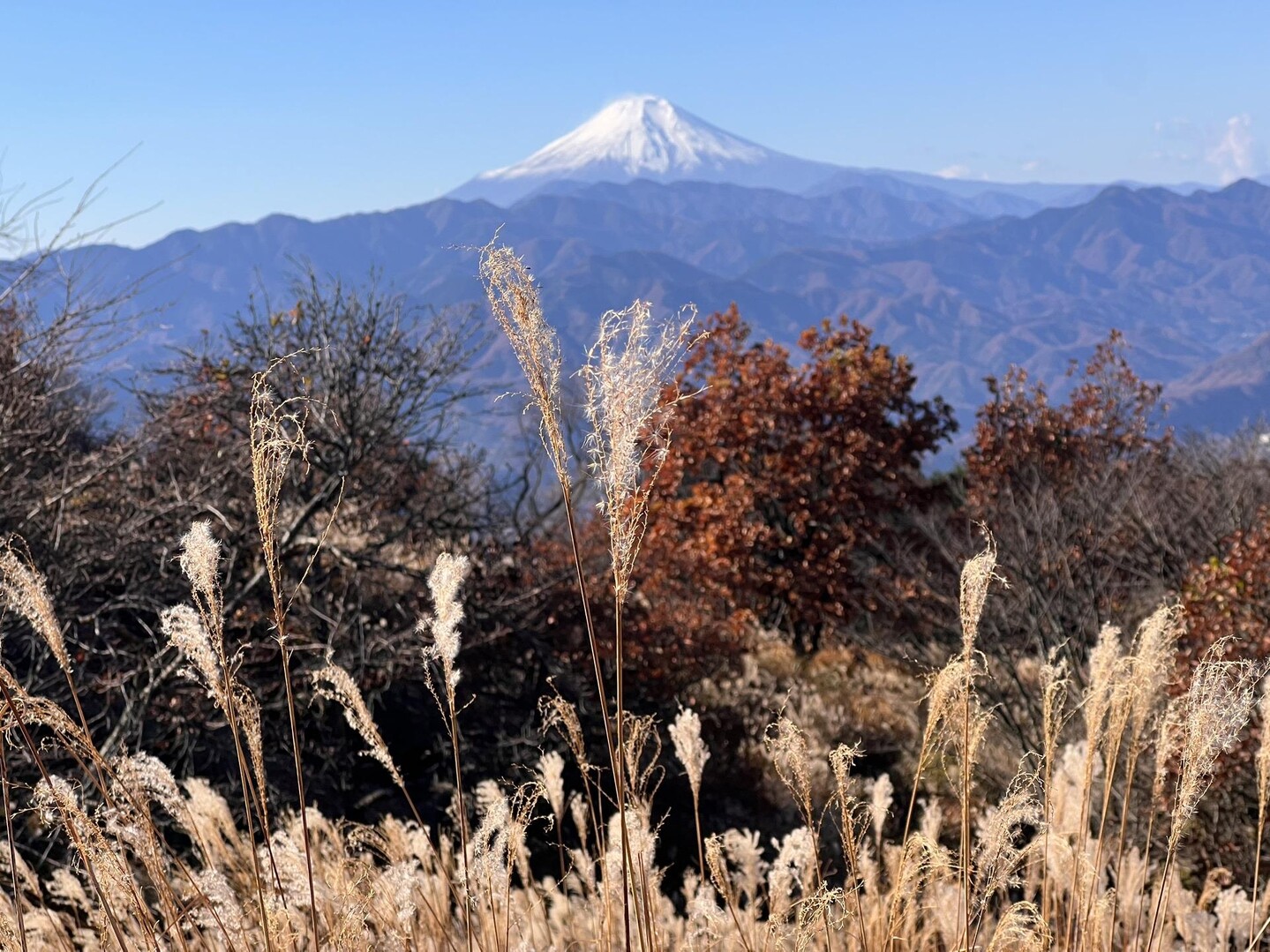 陣馬山・南郷山・富士小屋山・赤岩山・堂所山・景信山・城山（小仏城山）・高尾山・神変山 / MUNAさんの高尾山・陣馬山・景信山の活動データ | YAMAP / ヤマップ