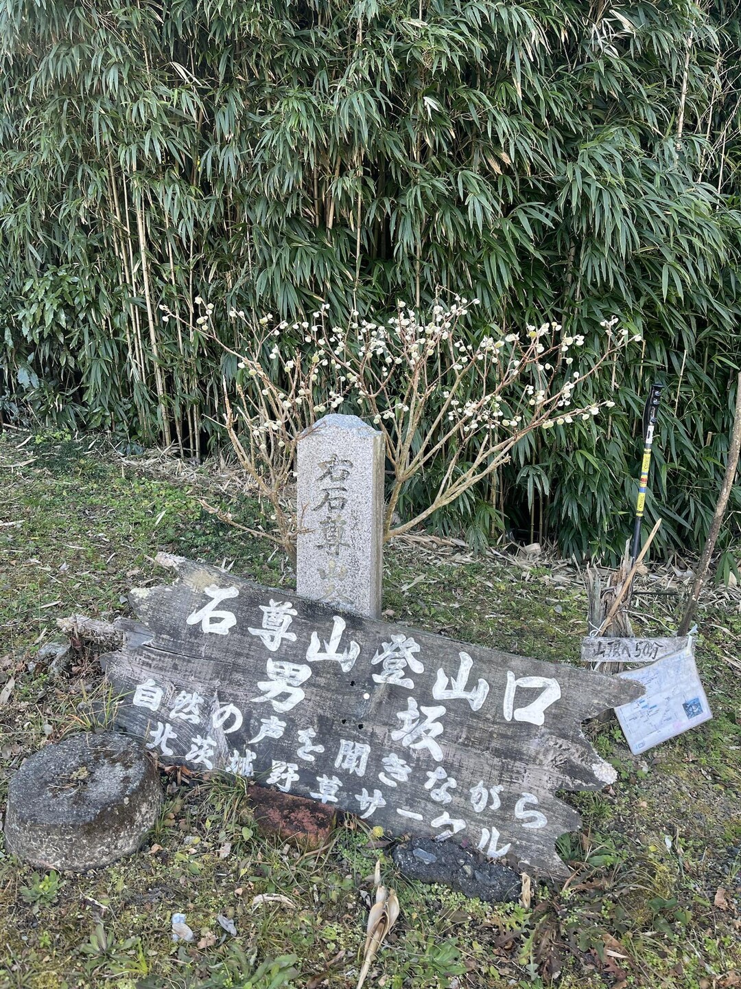 石尊山・金山岳 / hanさんの石尊山の活動データ | YAMAP / ヤマップ