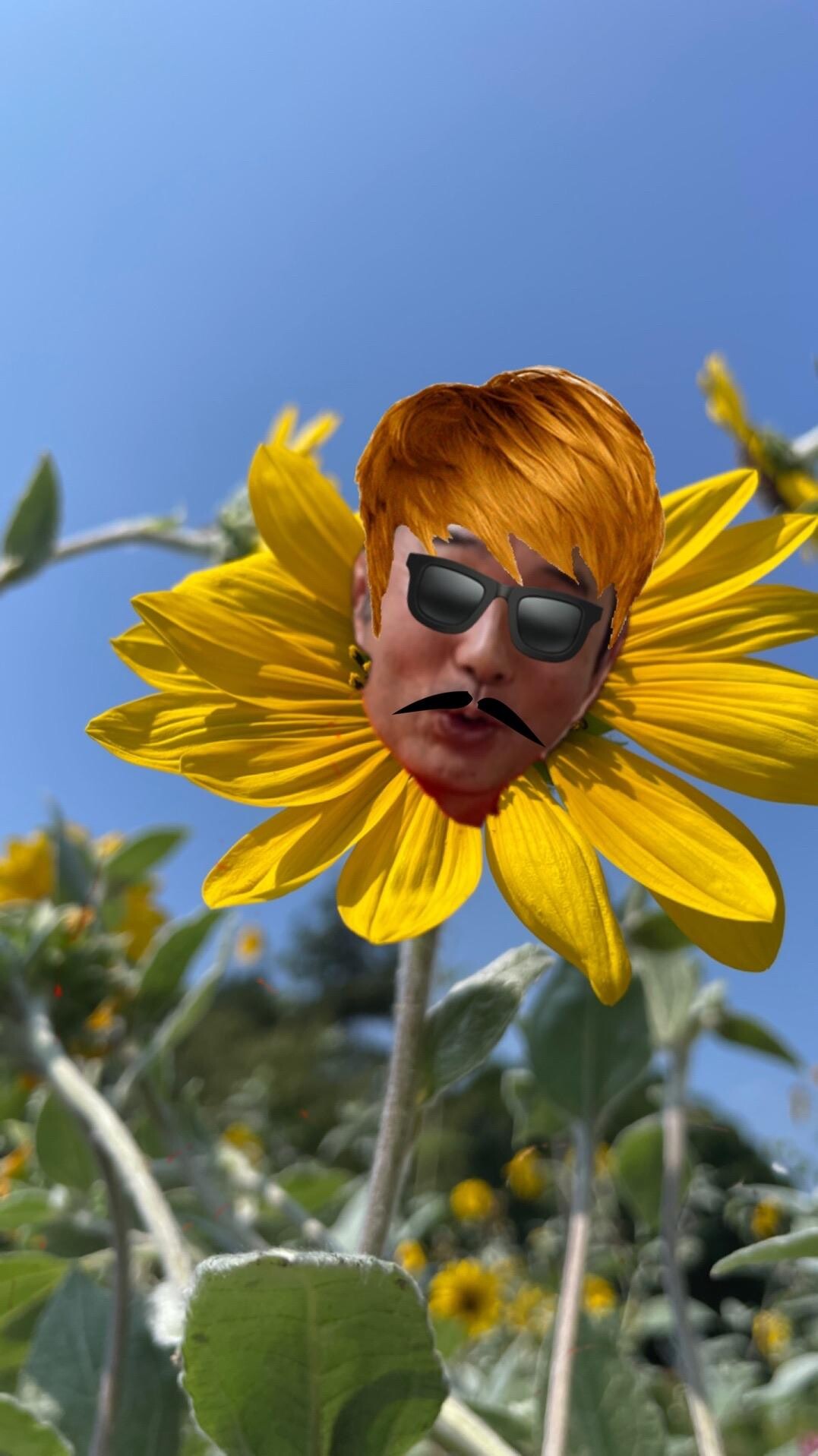 金比羅山 / kojiさんの皿倉山・花尾山・帆柱山の活動データ | YAMAP / ヤマップ