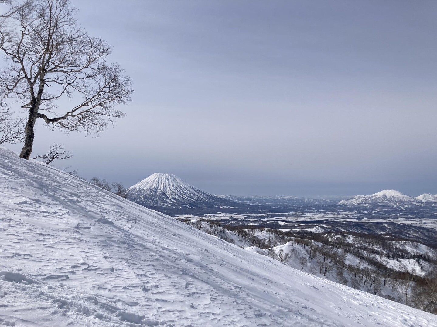 本倶登山 / yuyu さんの本倶登山の活動データ | YAMAP / ヤマップ