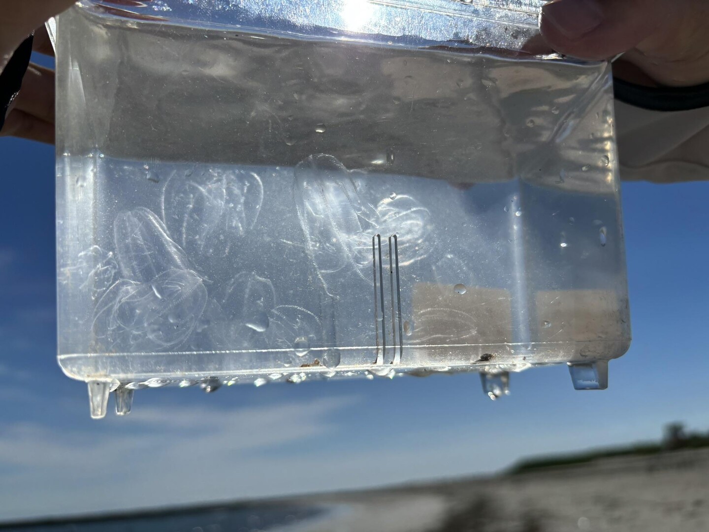 うーーみーーー-2024-07-30 / peachさんのウォーキングの活動日記 | YAMAP / ヤマップ