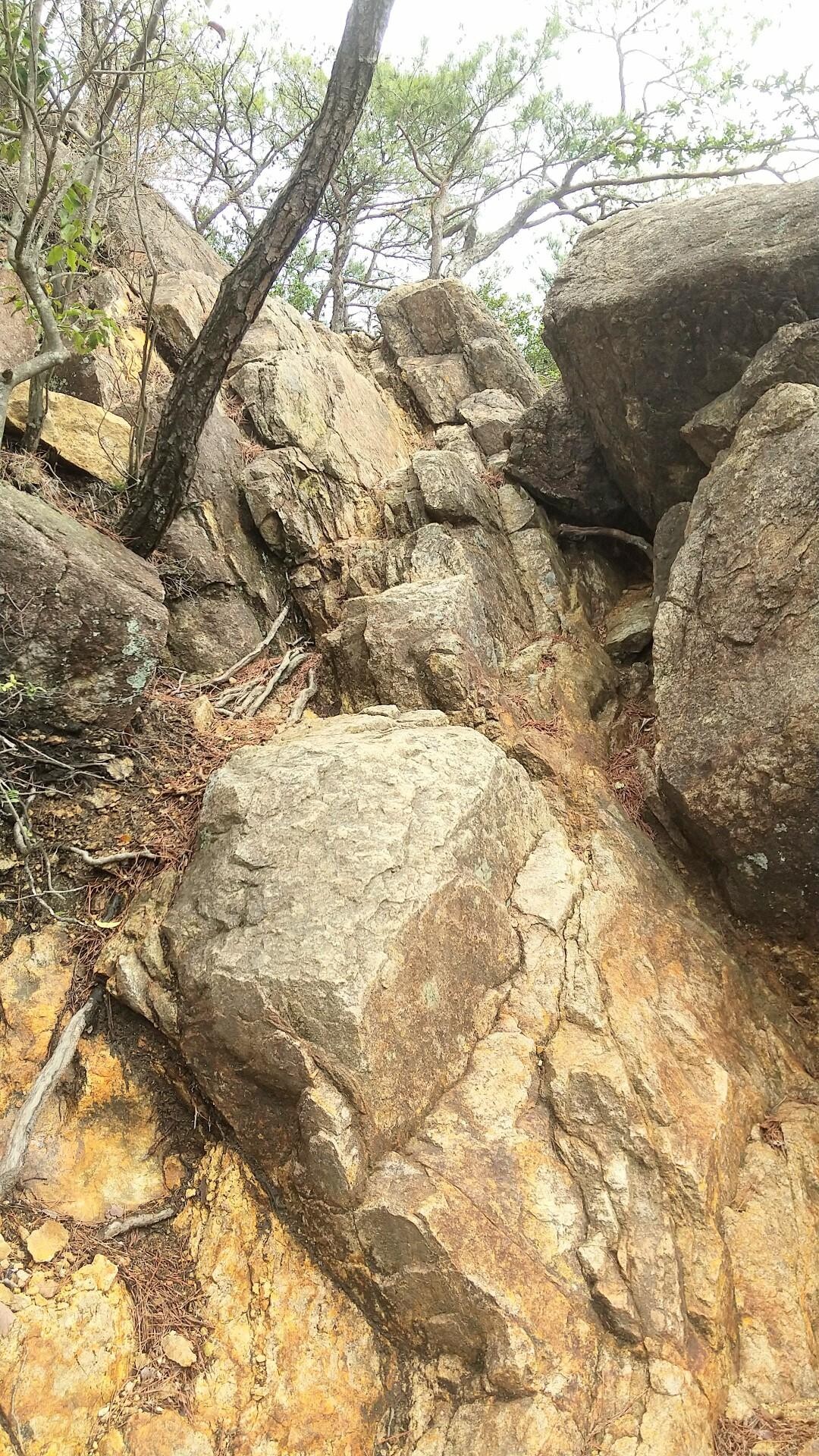 ShinjiHさんの投稿したフィールドメモ | YAMAP / ヤマップ