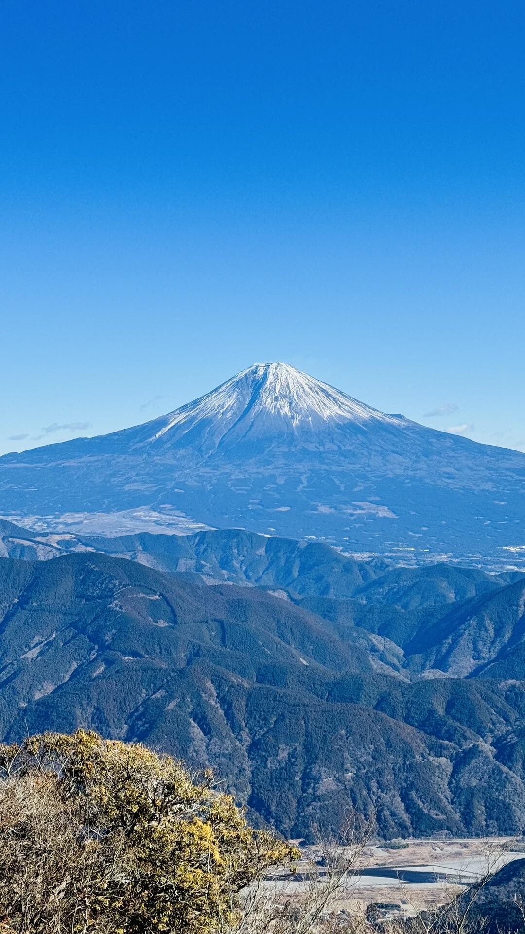 【山梨百名山】篠井山 / amuさんの篠井山の活動データ | YAMAP / ヤマップ