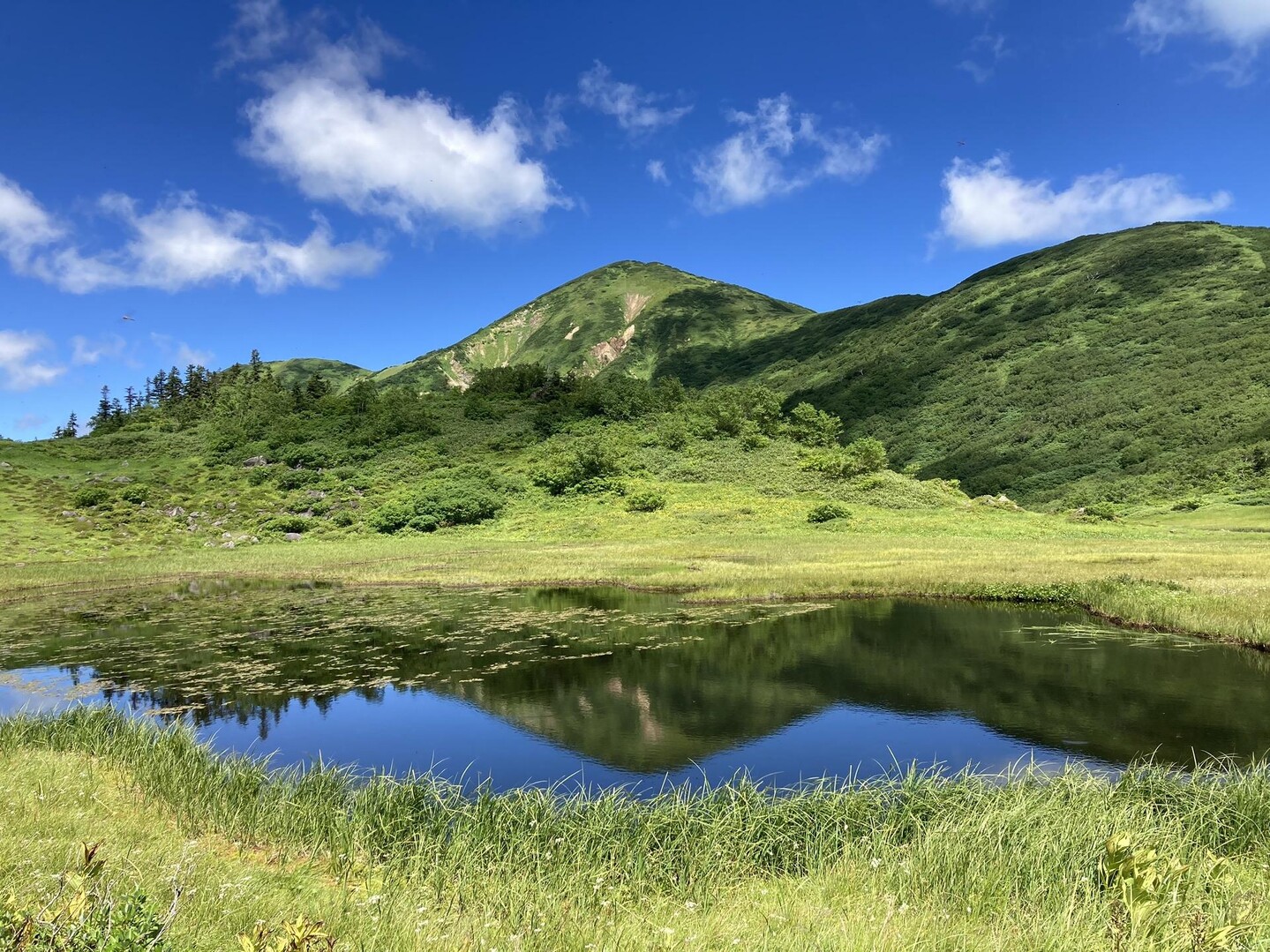 百名山 火打山 / ELLYさんの妙高山・火打山の活動データ | YAMAP / ヤマップ