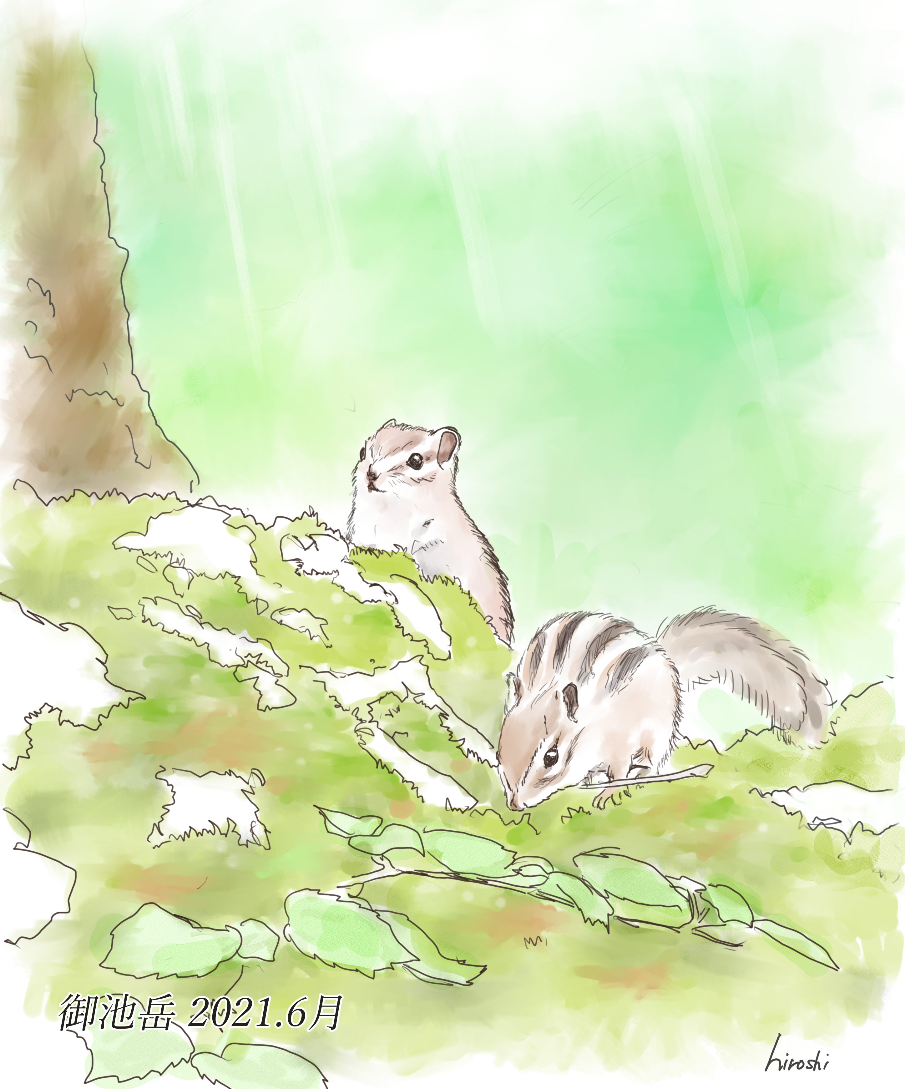 鈴鹿山脈の最高峰、御池岳。 時々会えるシ... / hiroshiさんのモーメント | YAMAP / ヤマップ