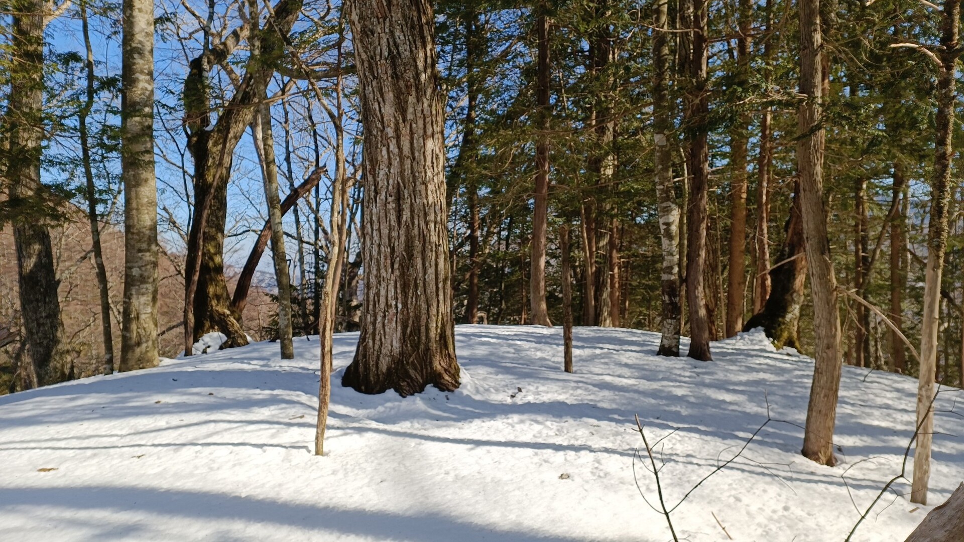 楓推しのGU人さんの投稿したフィールドメモ | YAMAP / ヤマップ