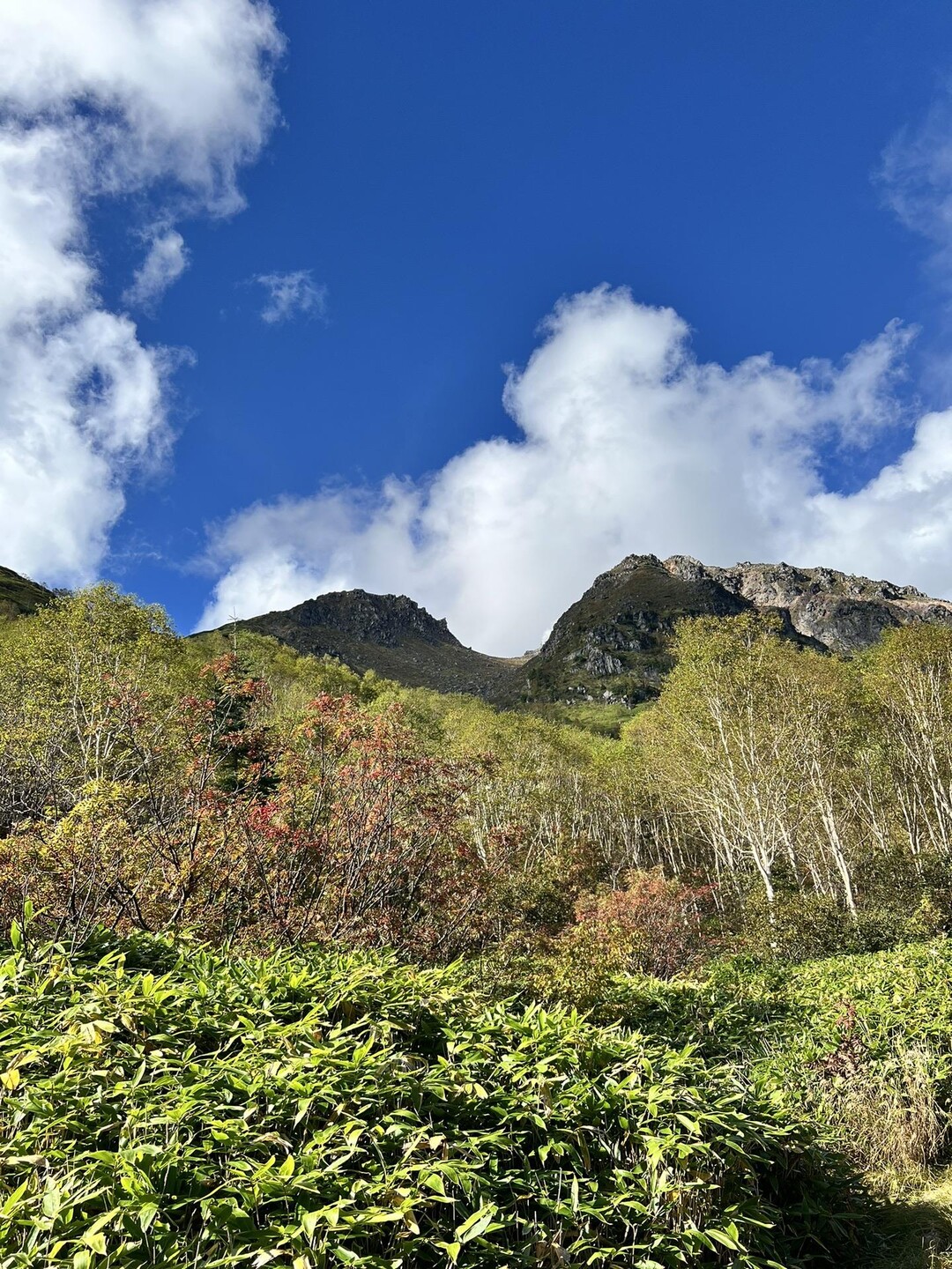 焼岳（北峰） / Monica さんの槍ヶ岳・穂高岳・上高地の活動データ | YAMAP / ヤマップ
