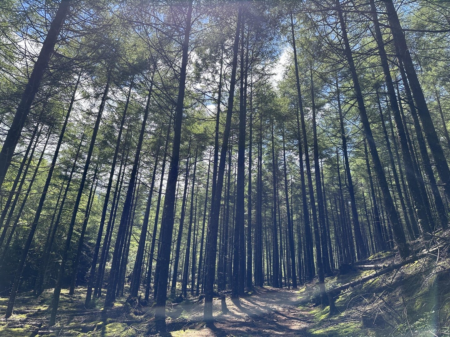 青春18切符🎫の旅~甲武信ヶ岳(千曲川源流) / sakuramtさんの甲武信ヶ岳の活動データ | YAMAP / ヤマップ