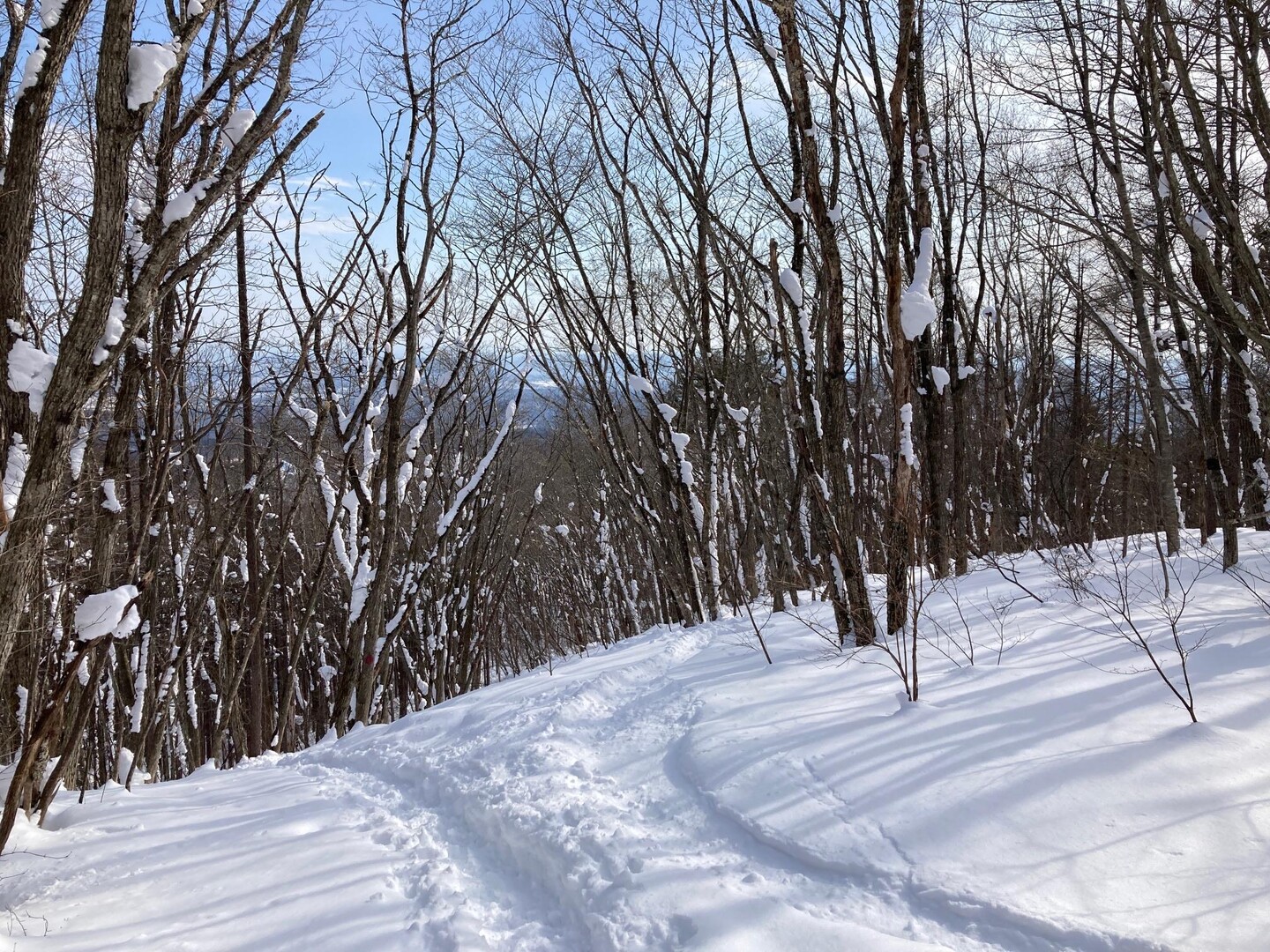 泉ヶ岳お分れ峠 / HKさんの船形山（御所山）・泉ヶ岳・蛇ヶ岳の活動データ | YAMAP / ヤマップ