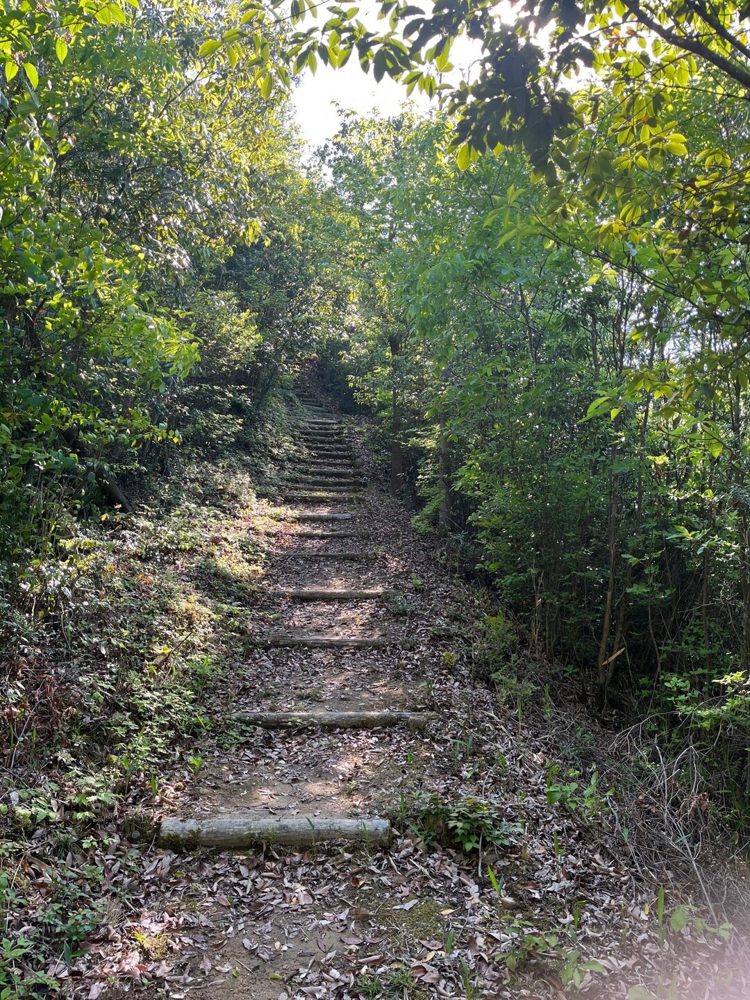 大迫山 / mirereさんの鏡山の活動データ | YAMAP / ヤマップ