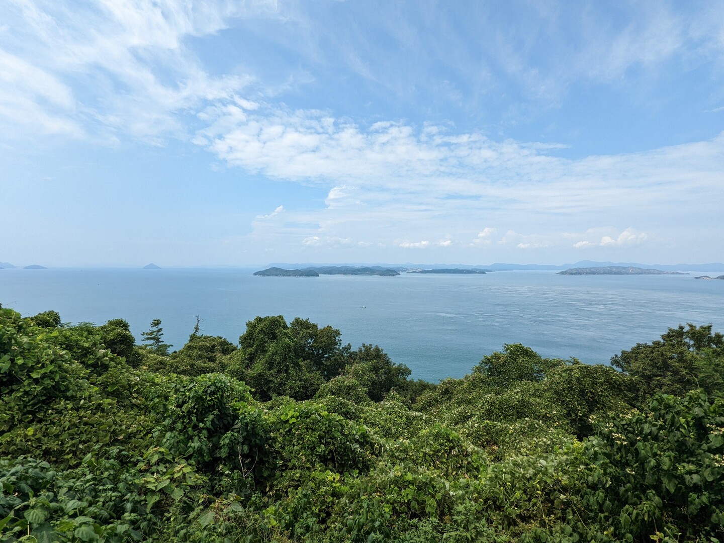 tkhsさんの投稿したフィールドメモ | YAMAP / ヤマップ