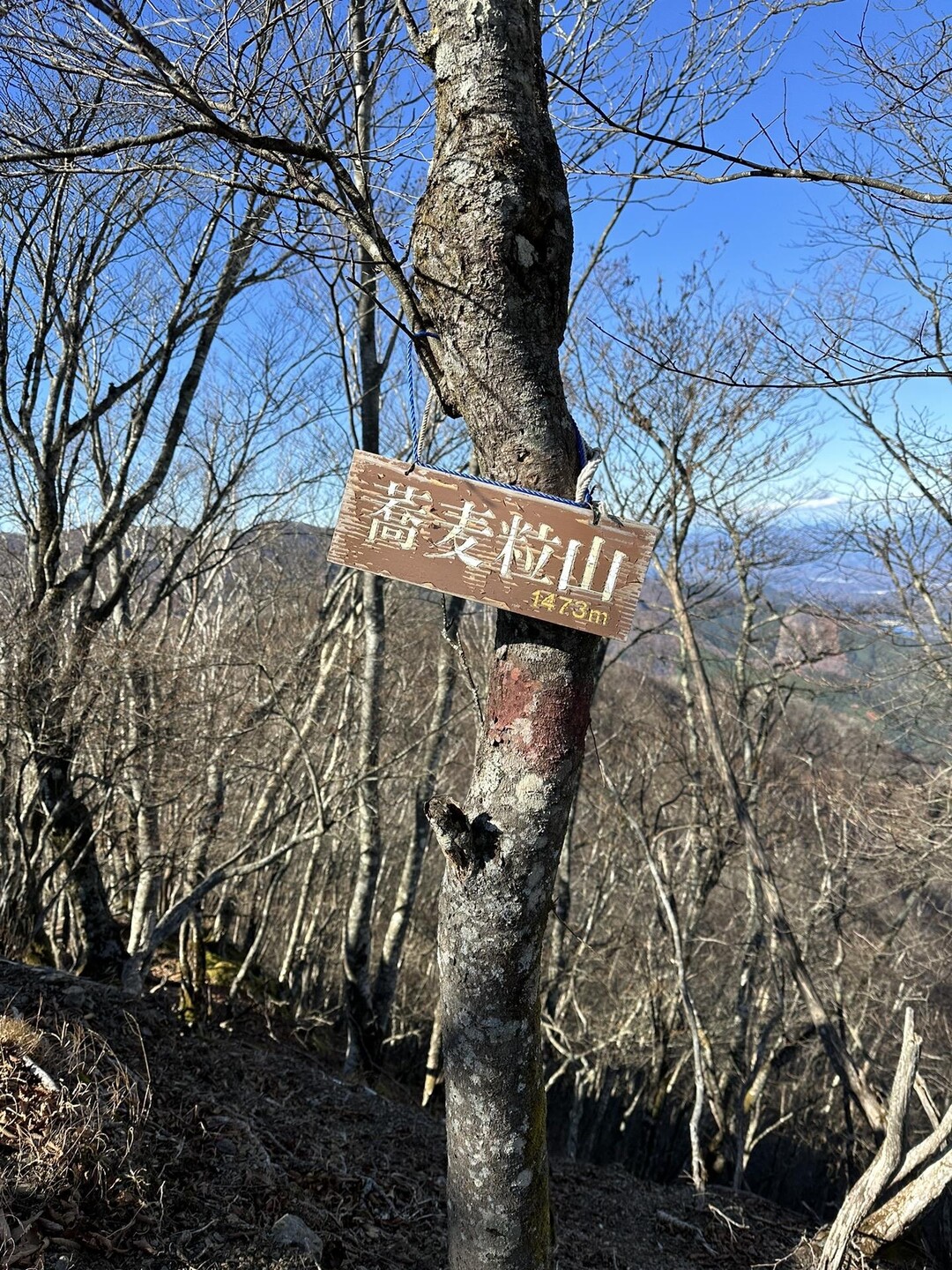 ヨコスズ尾根→天目山・蕎麦粒山→鳥屋戸尾根 / nbkyさんの雲取山・鷹ノ巣山・七ツ石山の活動データ | YAMAP / ヤマップ