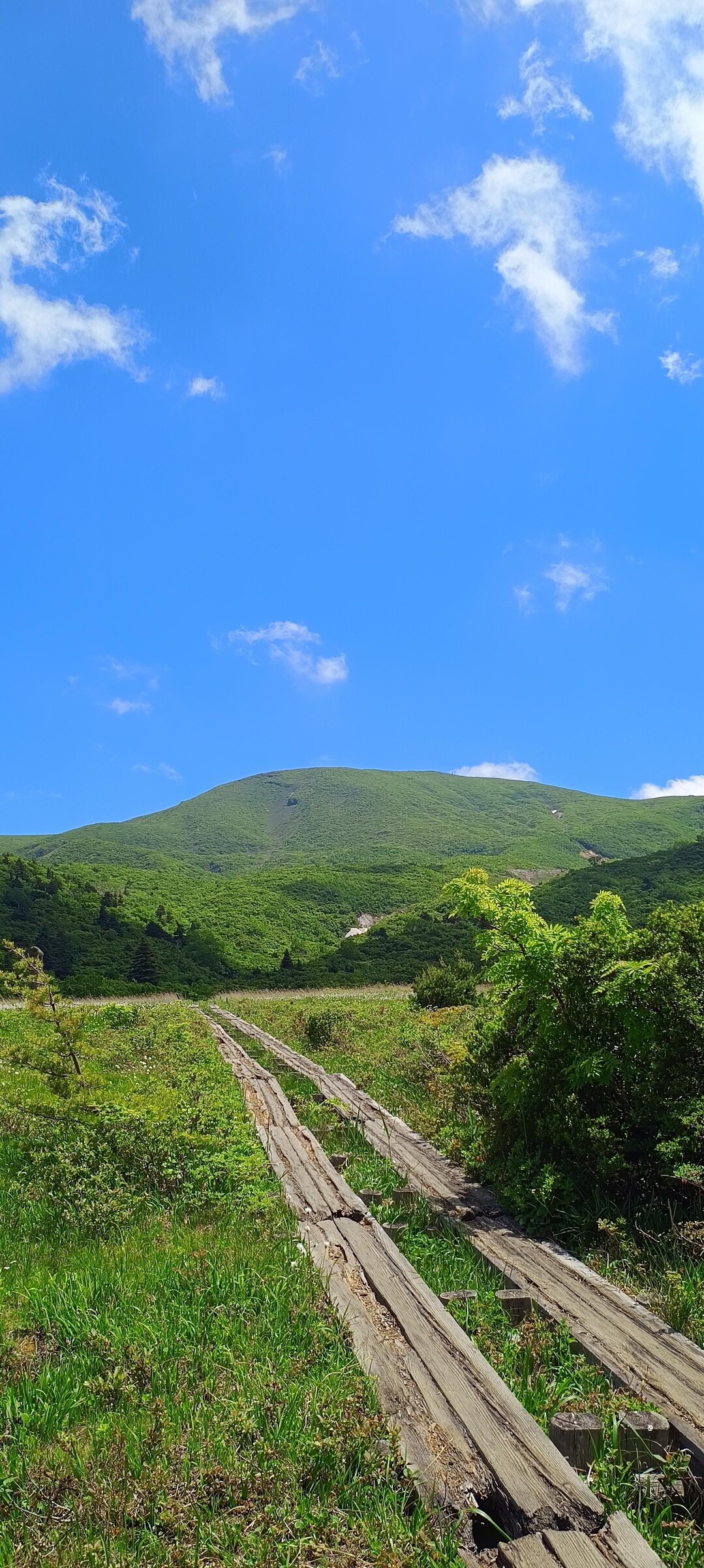 栗駒山 須川 / EMMAさんの栗駒山（須川岳）・秣岳・虚空蔵山の活動データ | YAMAP / ヤマップ