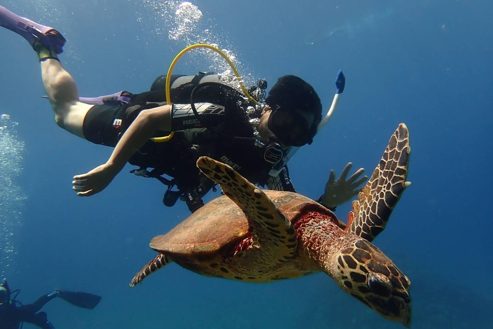 2022.8 沖縄慶良間諸島でファンダイ... / ゆうかずさんのモーメント | YAMAP / ヤマップ