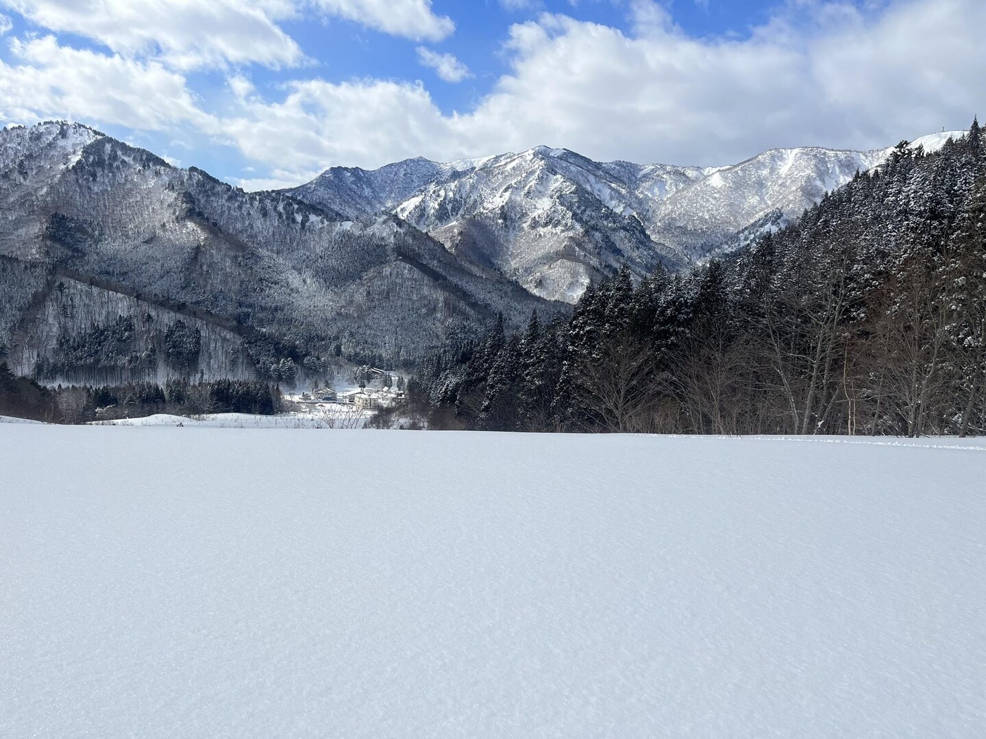 1月29日 パウダーサーフ バックカント... / fumさんのモーメント | YAMAP / ヤマップ