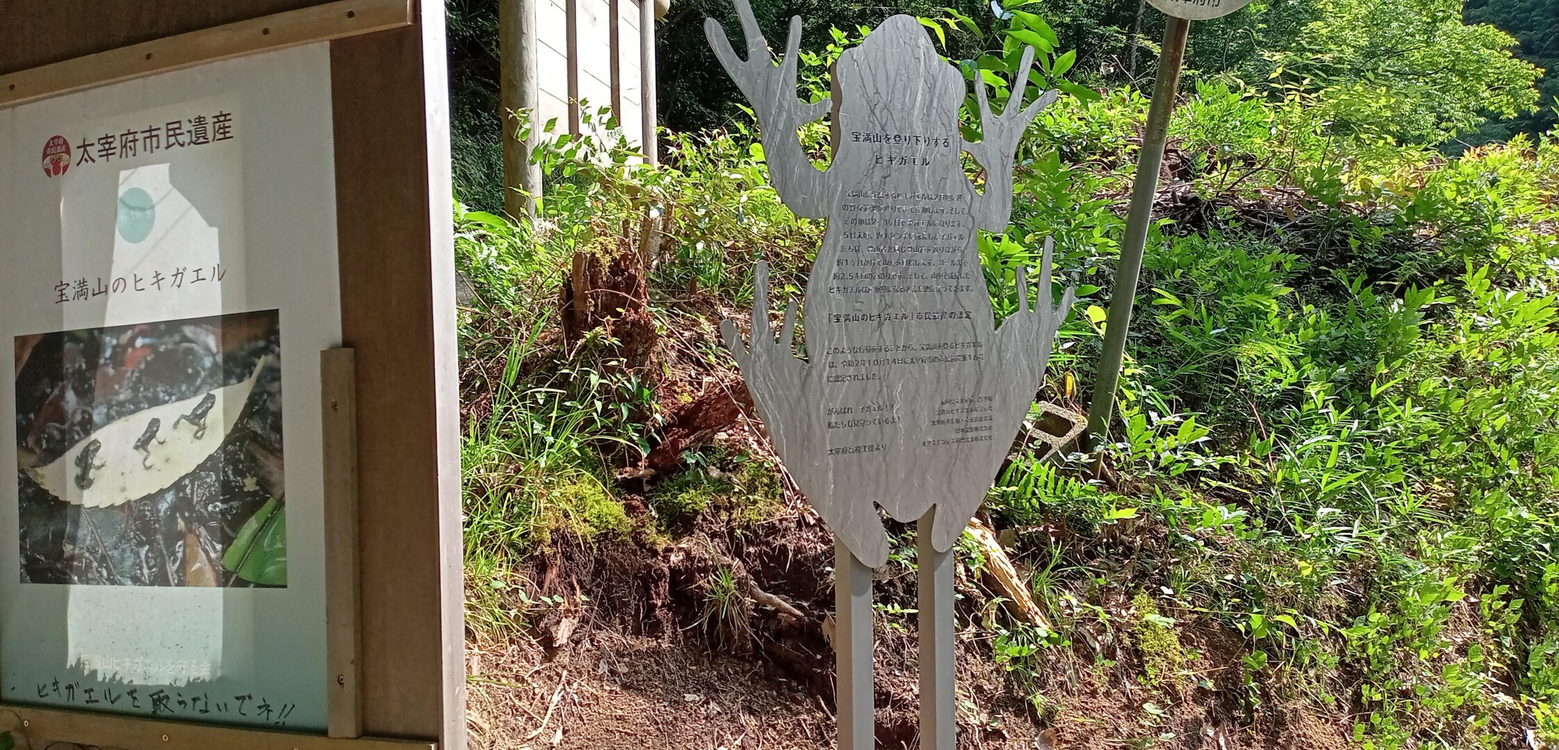 宝満山〜愛嶽山 / hacoさんの宝満山・三郡山・若杉山の活動データ | YAMAP / ヤマップ