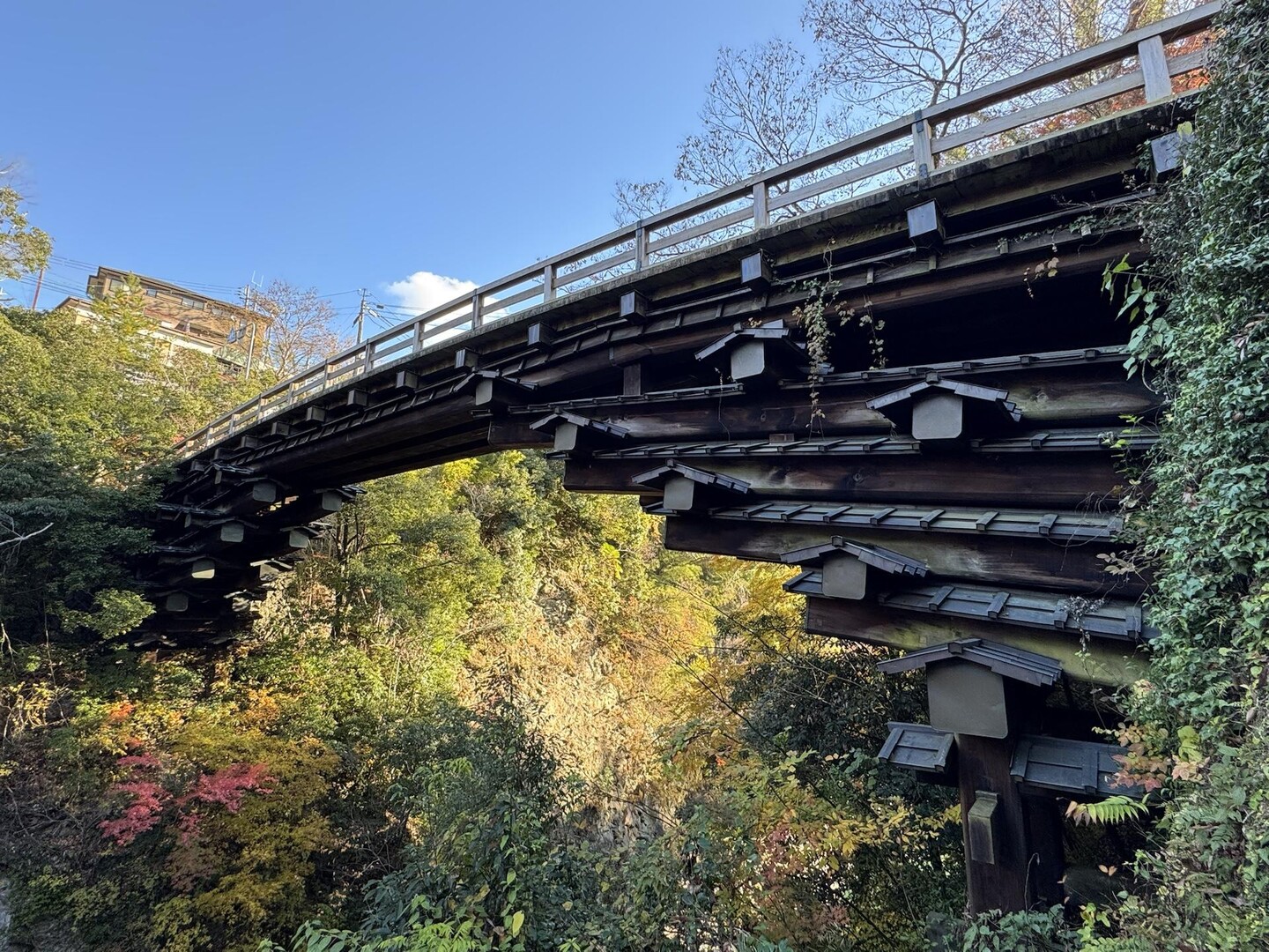 猿橋〜九鬼山 / lala&kistyさんの倉岳山・高畑山・九鬼山の活動データ | YAMAP / ヤマップ