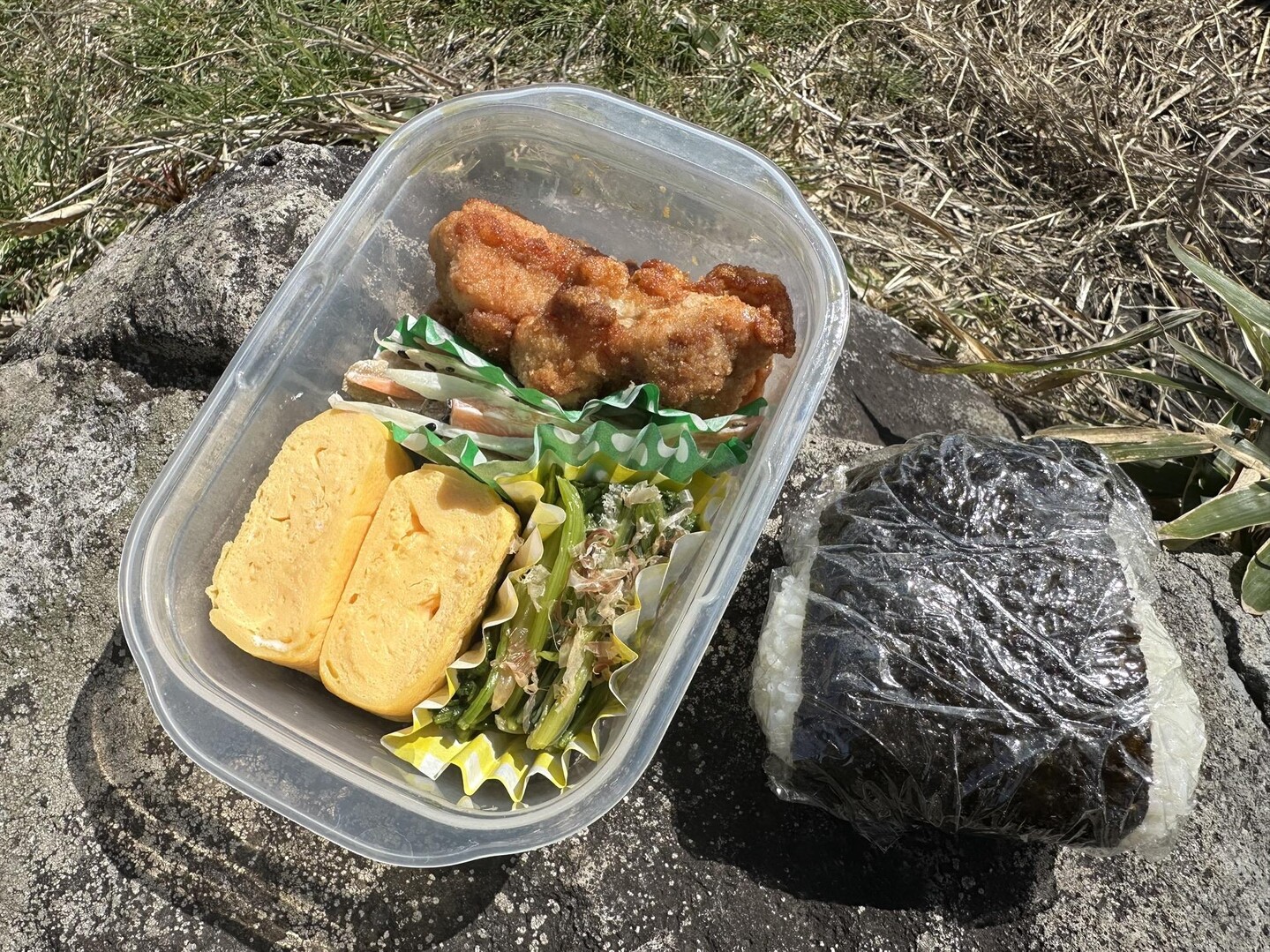 地蔵峠から冠ヶ岳 往復(MAPダウンロード出来ず😭) / とうもろこしさんの俵山・冠ヶ岳・清栄山の活動データ | YAMAP / ヤマップ