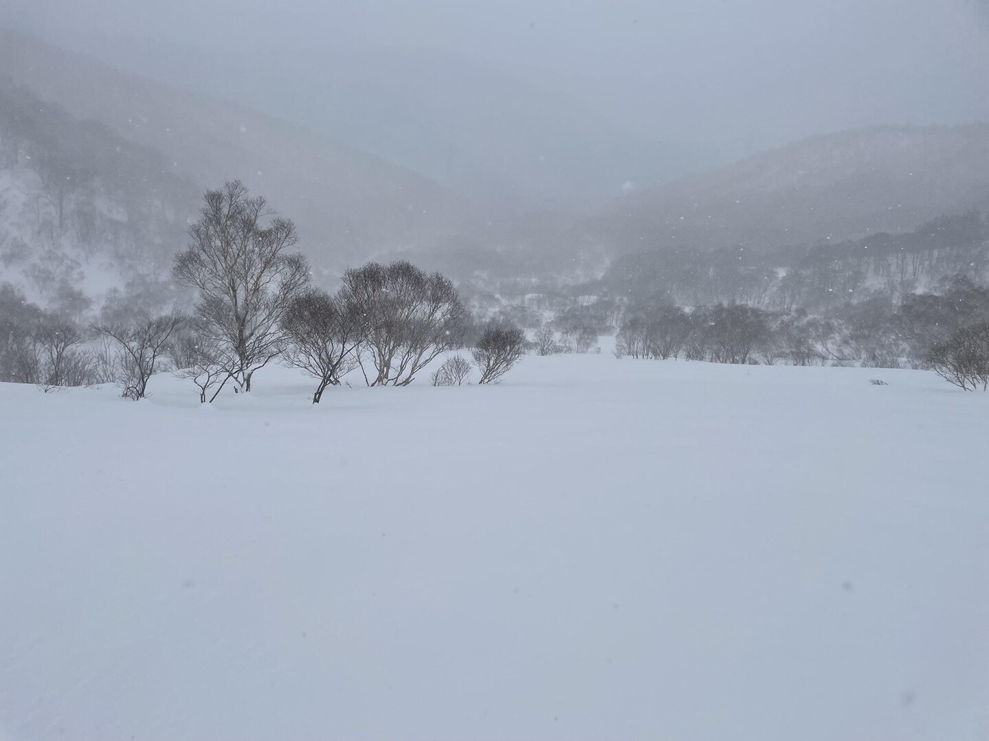 平標山-2023-02-25 / shoさんの仙ノ倉山・平標山・大源太山の活動データ | YAMAP / ヤマップ