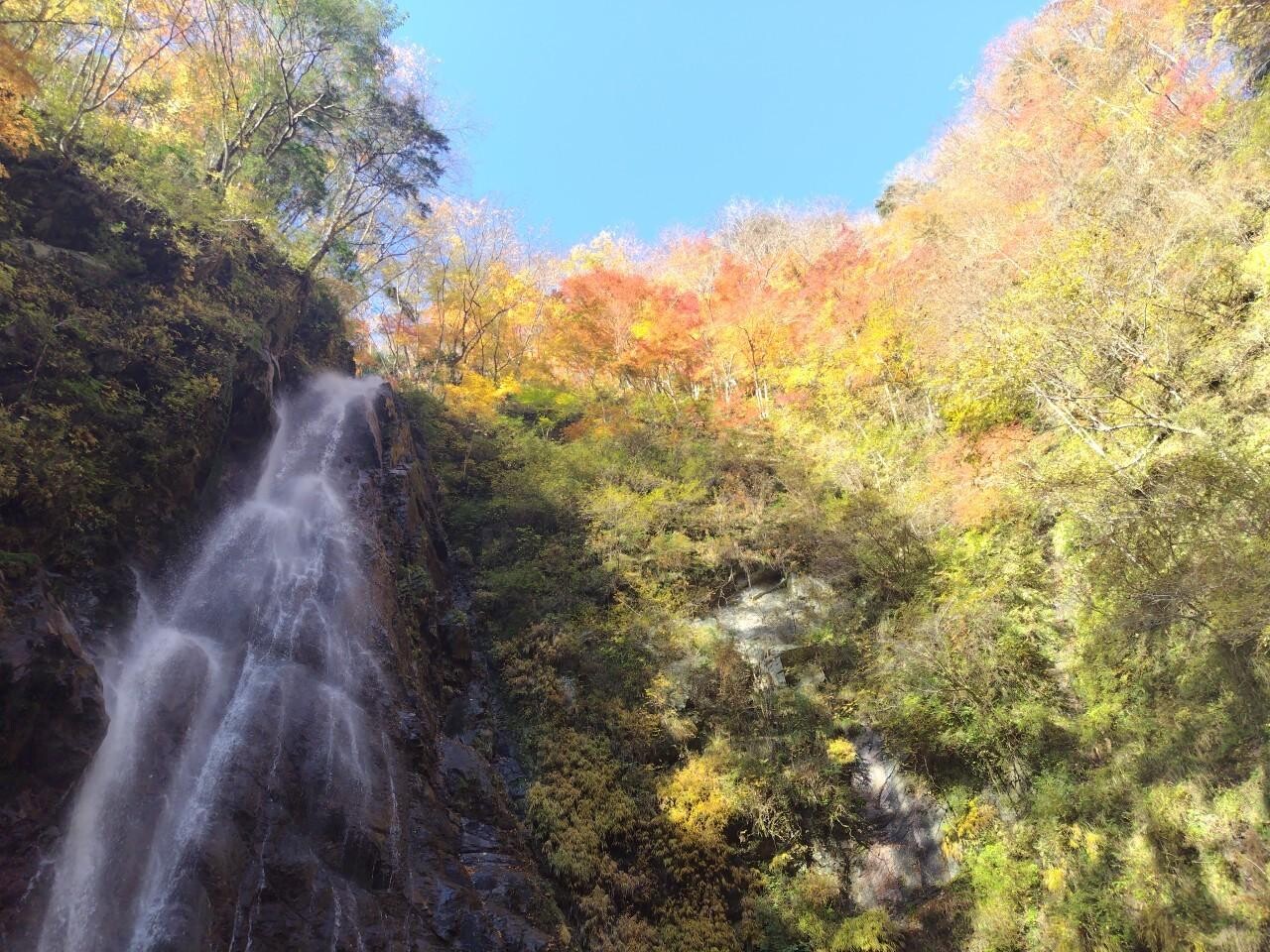 西丹沢VC〜畦ヶ丸山_周回 / kenさんの大室山・畦ヶ丸山・菰釣山の活動データ | YAMAP / ヤマップ