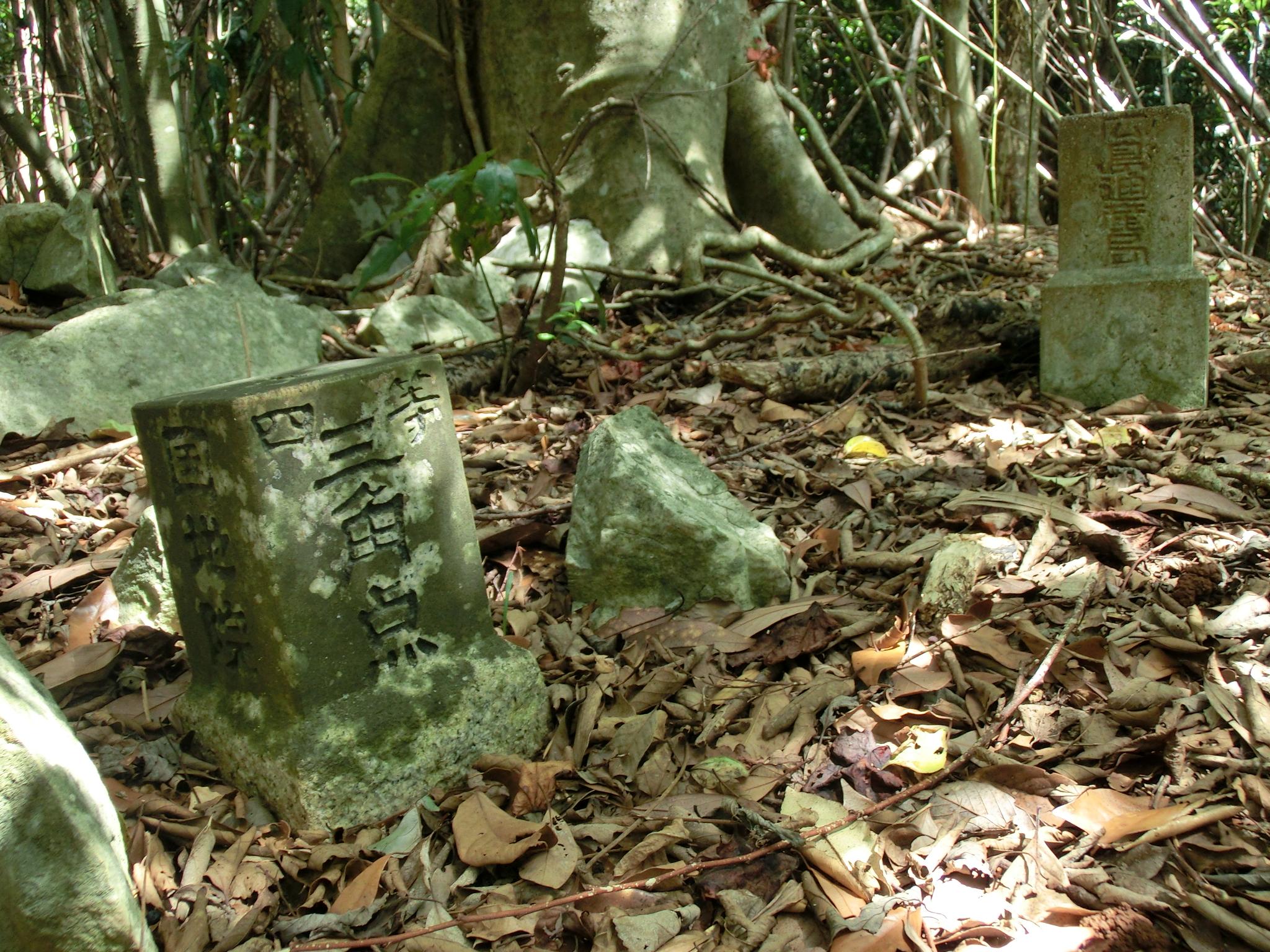 経塚山（美祢市秋芳町） / Ryu 🐉さんの秋吉台の活動データ | YAMAP / ヤマップ