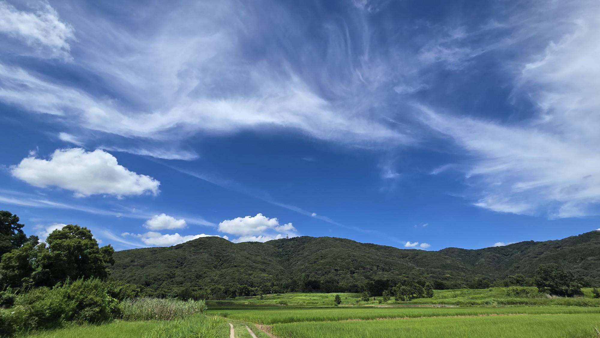 宝篋山 / みっつさんの宝篋山・富岡山の活動データ | YAMAP / ヤマップ