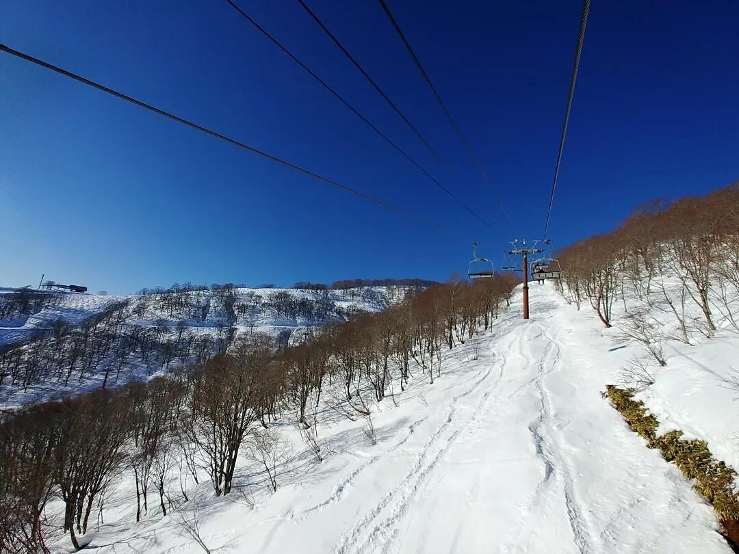 奥美濃2泊2日。 春のような陽気に真っ青... / JUNさんのモーメント | YAMAP / ヤマップ