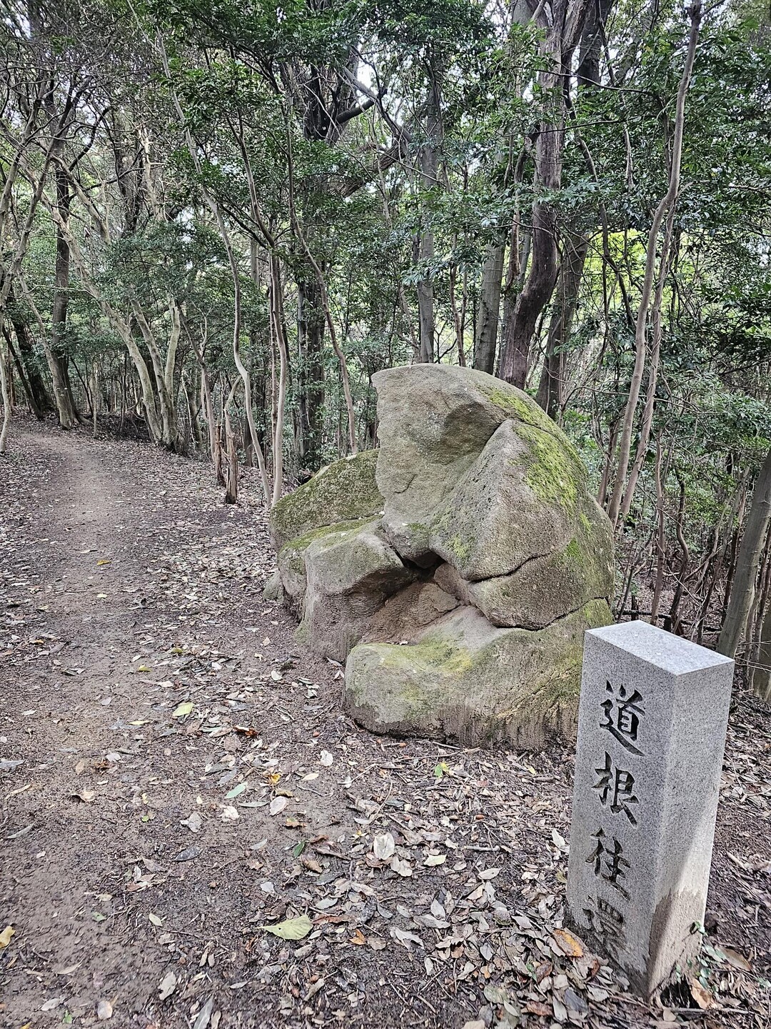 道根往還🏃‍♂️ / おくさんの岡崎市の活動データ | YAMAP / ヤマップ