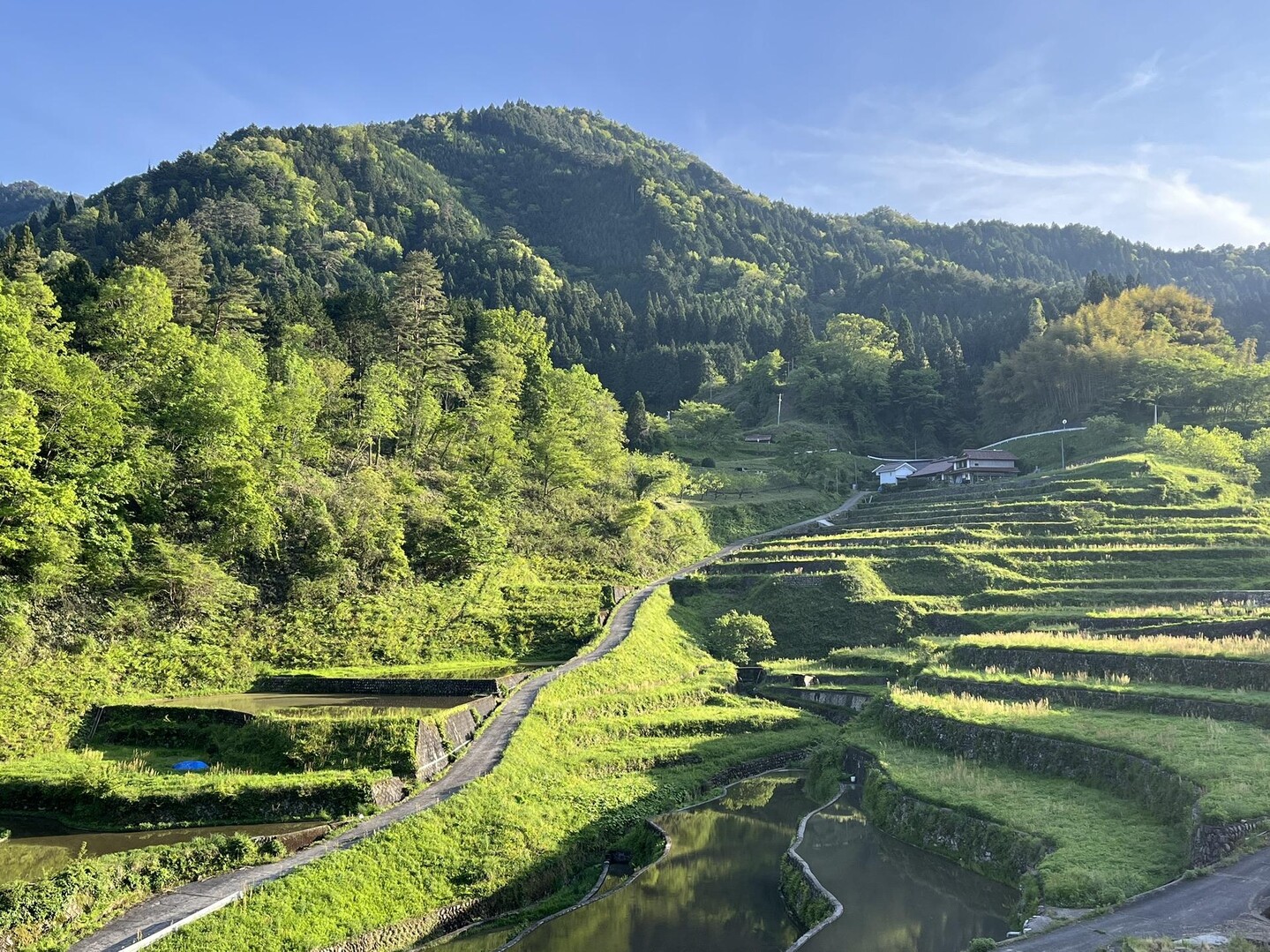 井仁の棚田 ウォーキング / leoleonさんのウォーキングの活動データ | YAMAP / ヤマップ