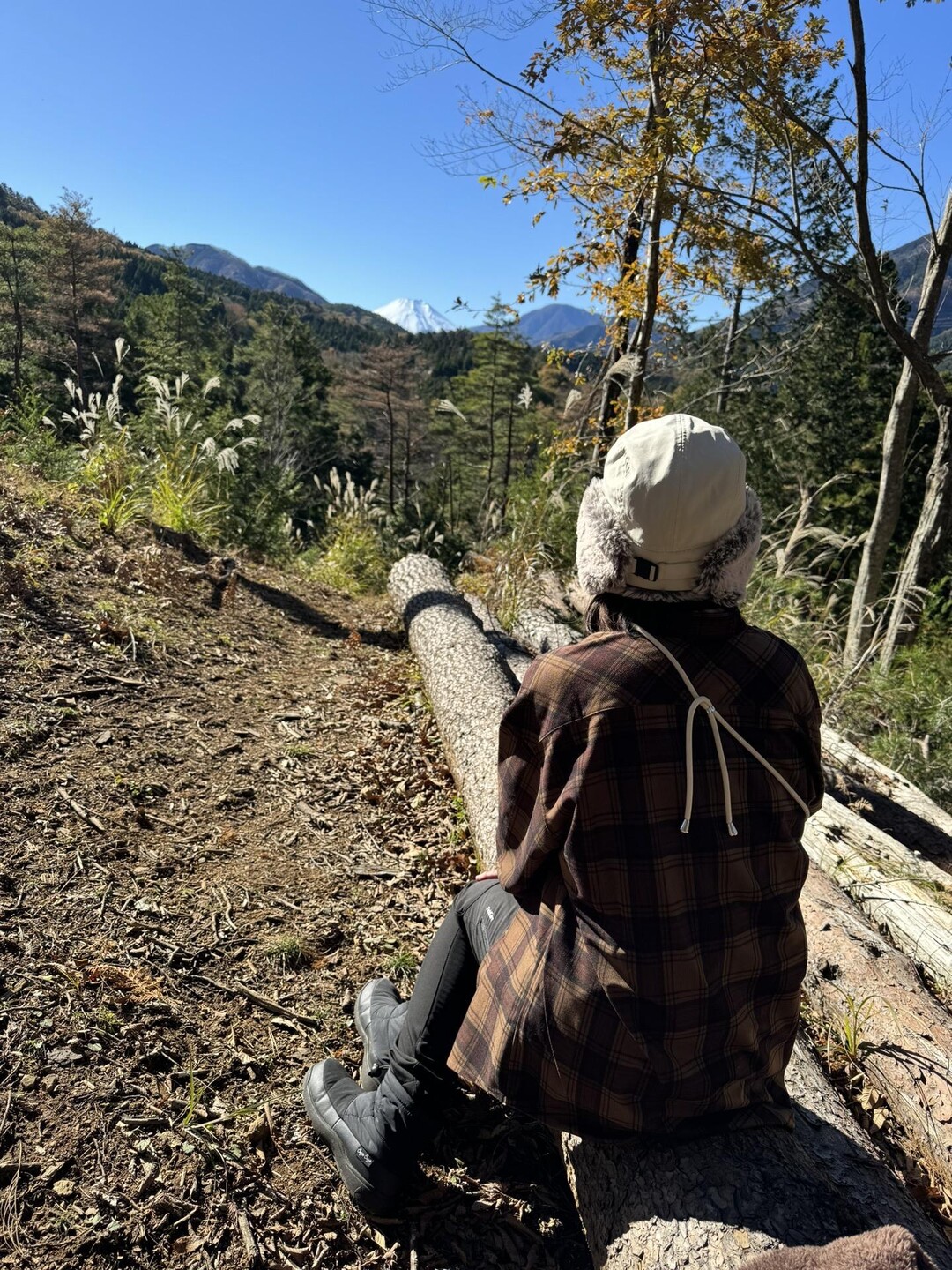 2023.11.19〜20 山梨県道志村... / ayakaさんのモーメント | YAMAP / ヤマップ
