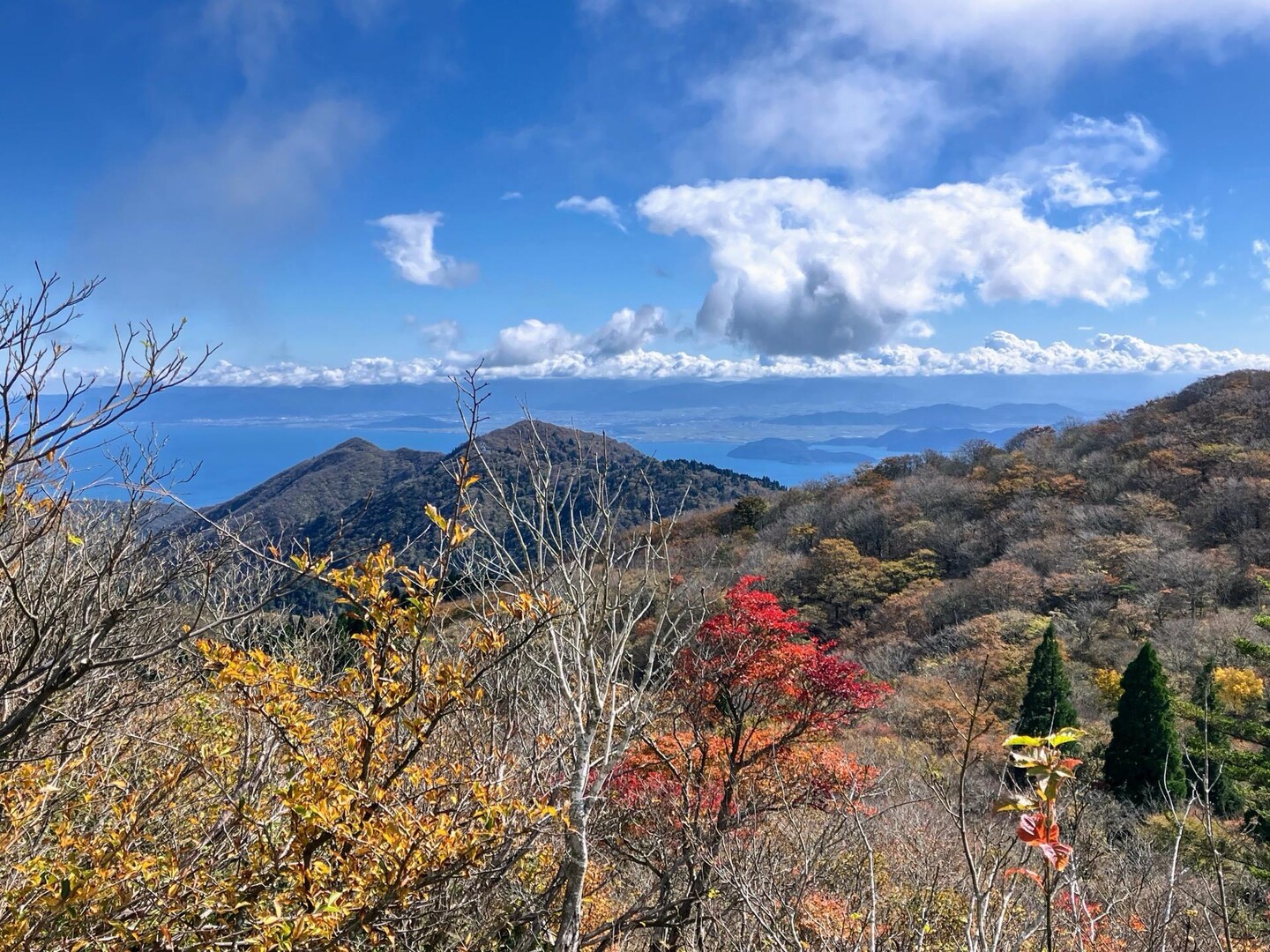 武奈ヶ岳 坊村→小川新道→青ガレ / yuriさんの比良山地・武奈ヶ岳・釈迦岳の活動データ | YAMAP / ヤマップ