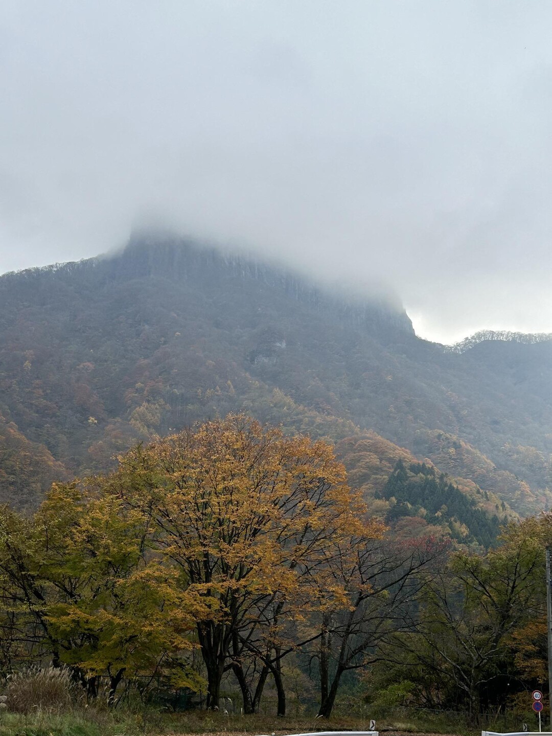 荒船山（経塚山）→こんにゃくパーク / Mitchさんの荒船山・物語山・大屋山の活動データ | YAMAP / ヤマップ