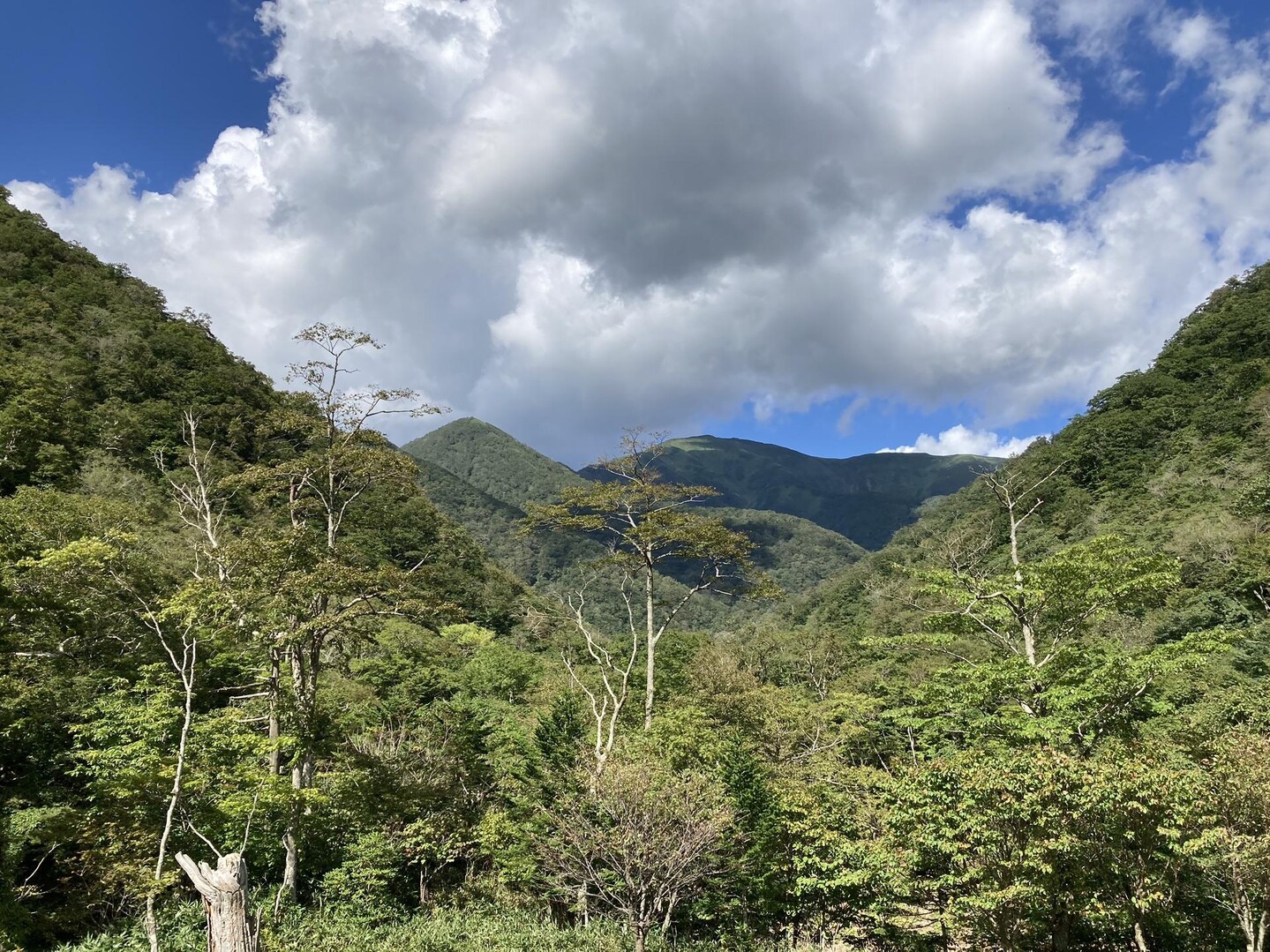 楽古岳 / 2525bbさんの楽古岳の活動データ | YAMAP / ヤマップ