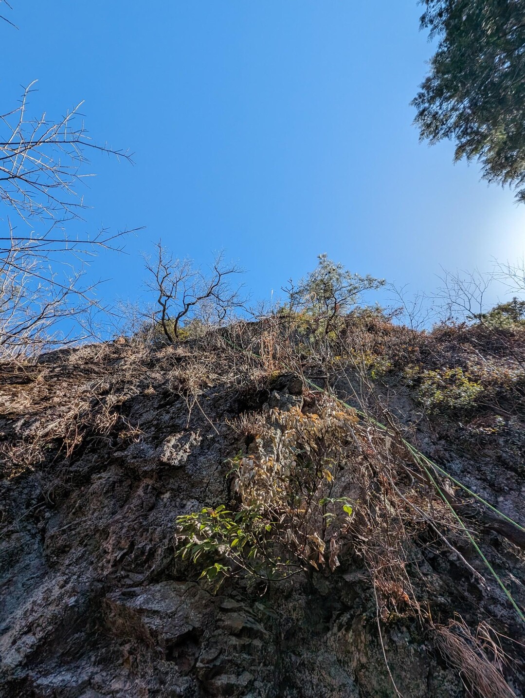 ちょっとお散歩🧗 金岳（P2西面） / 100式さんの城峯山・破風山の活動データ | YAMAP / ヤマップ