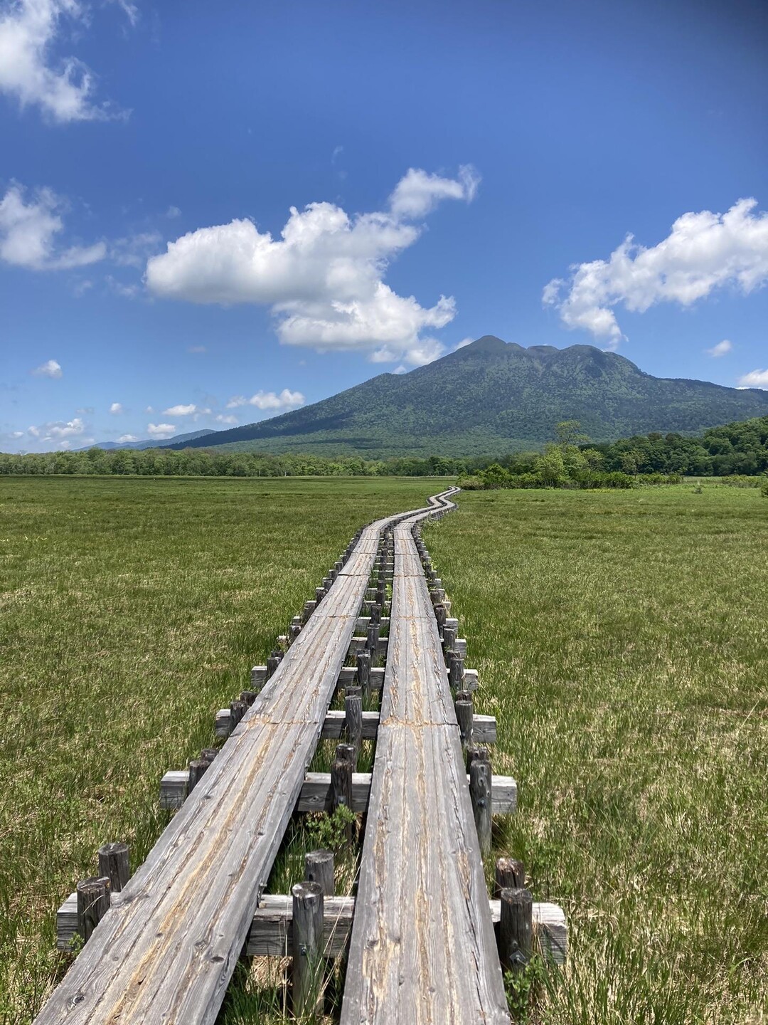 はるかな尾瀬 / o-daijinさんの尾瀬・燧ヶ岳の活動データ | YAMAP / ヤマップ