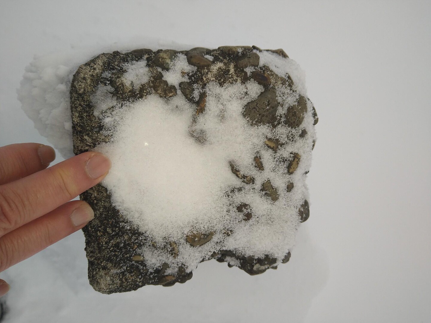 吹雪の登り始め☃️🐲鞍掛山🏔️ / Arさんの岩手山・黒倉山・鞍掛山の活動データ | YAMAP / ヤマップ