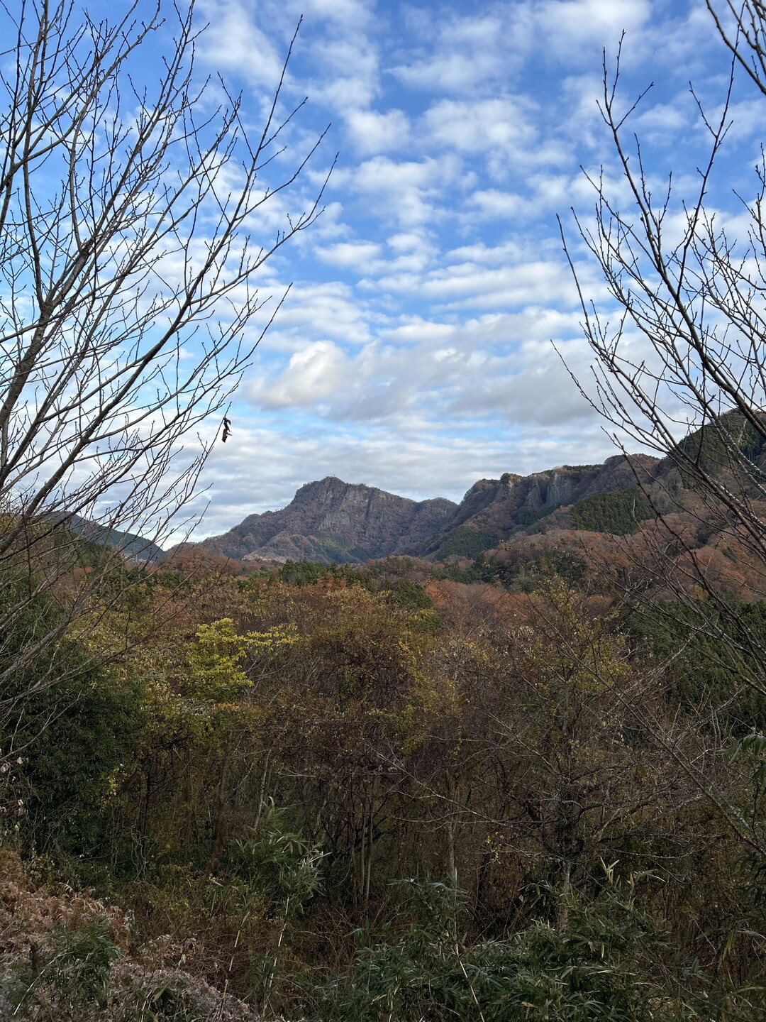 篭岩(篭岩山) / X3Dさんの奥久慈男体山・月居山・篭岩（篭岩山）の活動データ | YAMAP / ヤマップ