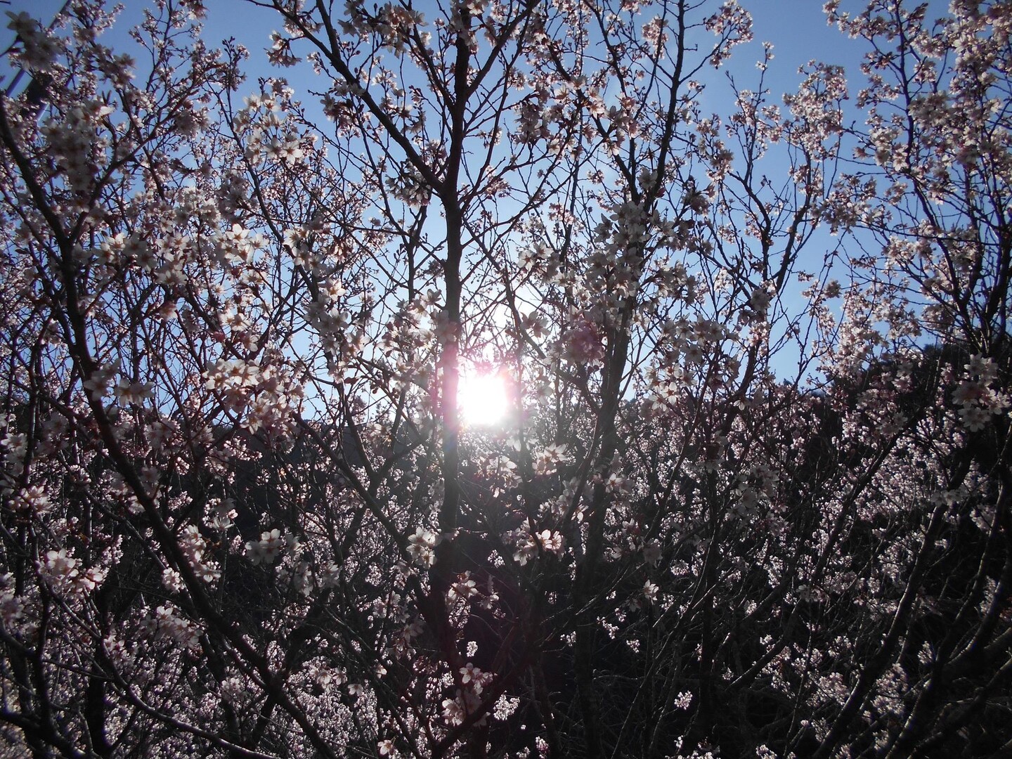 笠置山 &ピークいろいろ / masaroyさんの笠置山の活動データ | YAMAP / ヤマップ